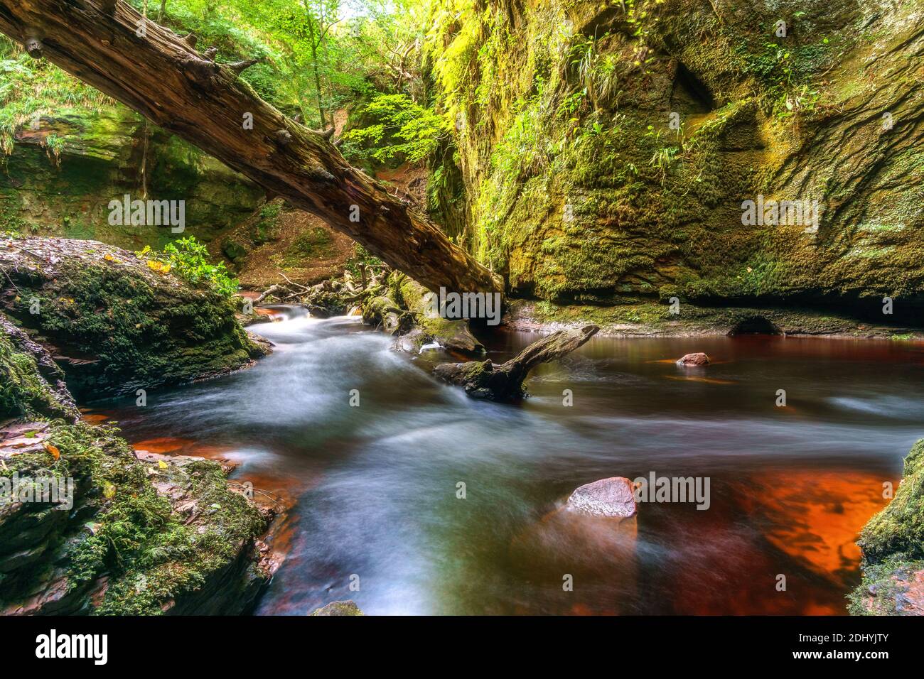 Red water stream in scotland with tree trunk Stock Photo - Alamy