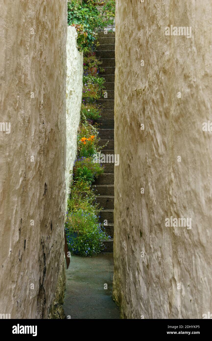 Narrow alley between houses with stairway covered with flowers Stock ...
