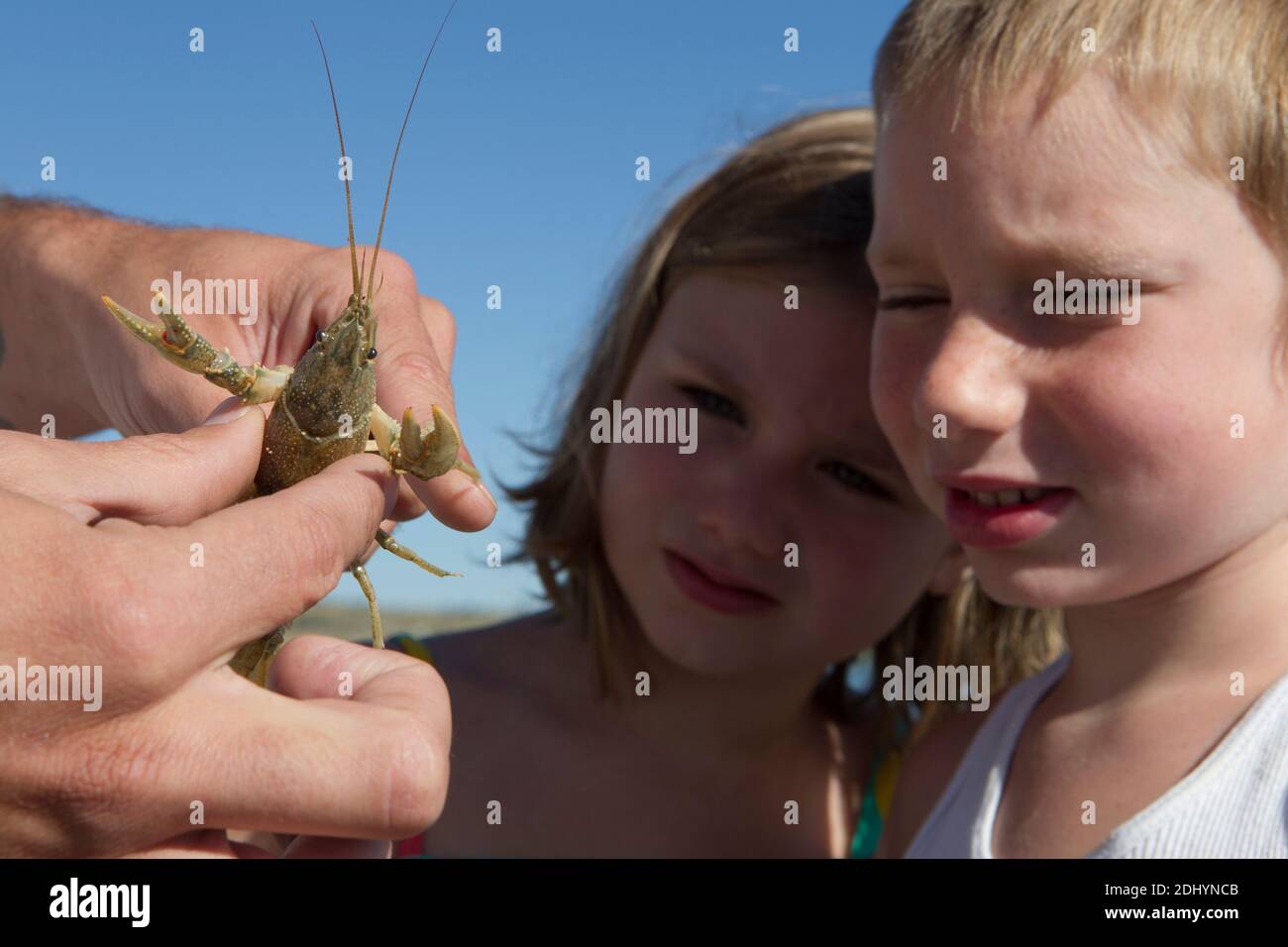 Kids aren't too sure about a crayfish they are shown, Deadman's Basin ...