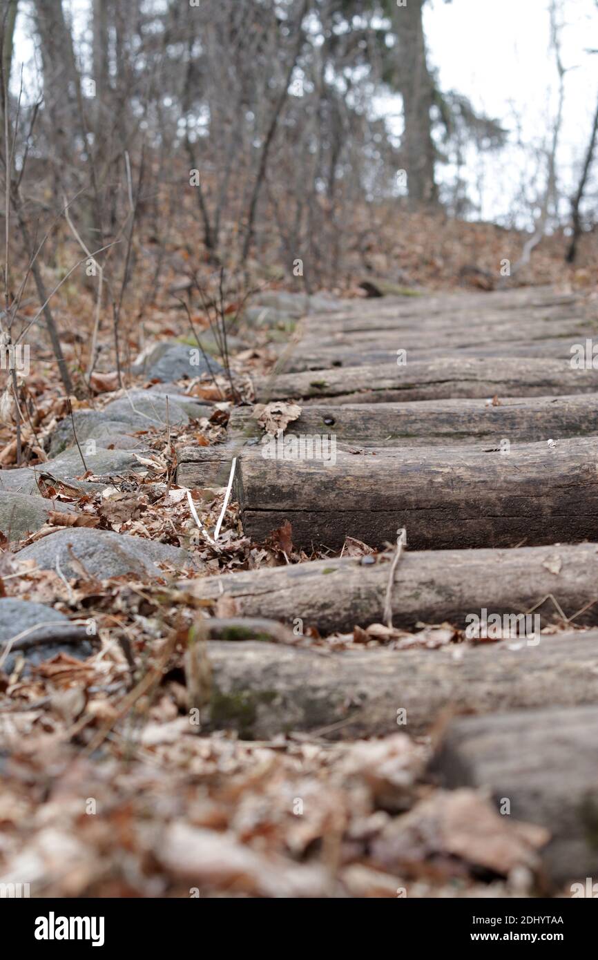 Rustic wooden steps bordered in stone lead up a forest trail Stock ...