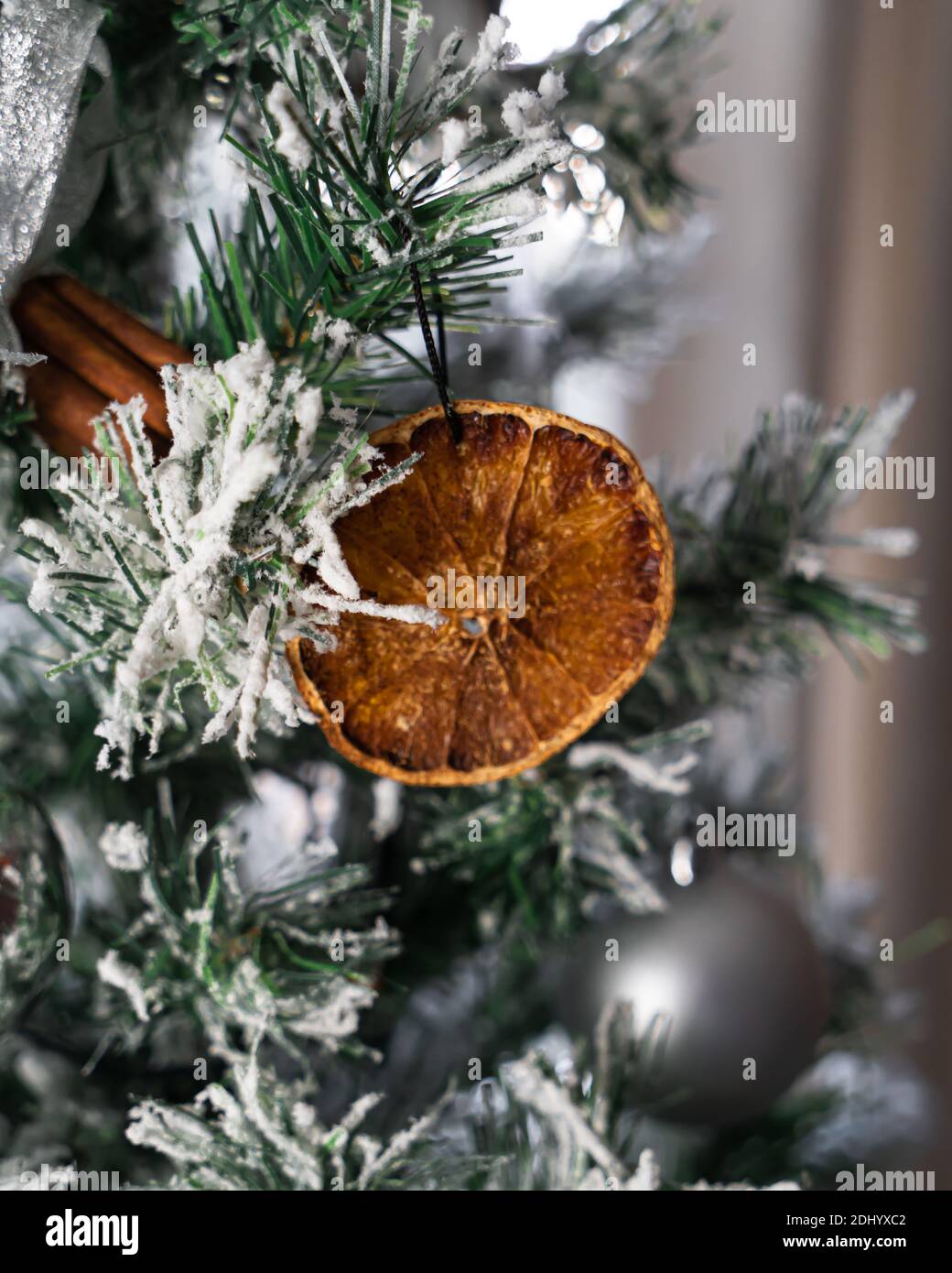 Tree segment hi-res stock photography and images - Alamy