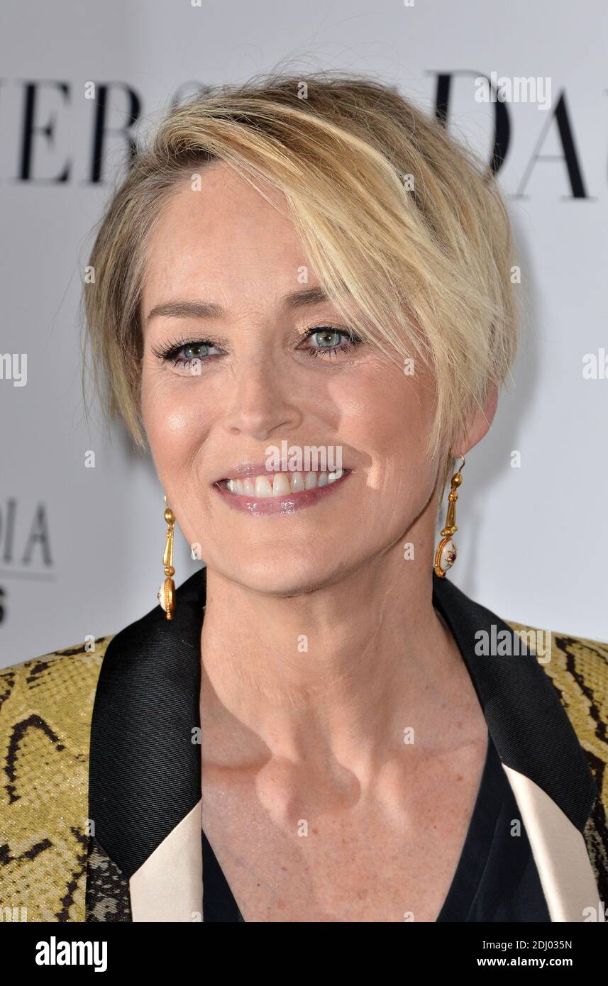 Sharon Stone attends the Premiere of Screen Media Film's 'Mothers And ...