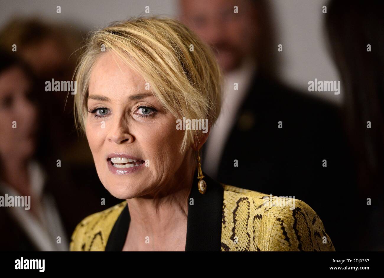 Sharon Stone attends the Premiere of Screen Media Film's 'Mothers And ...