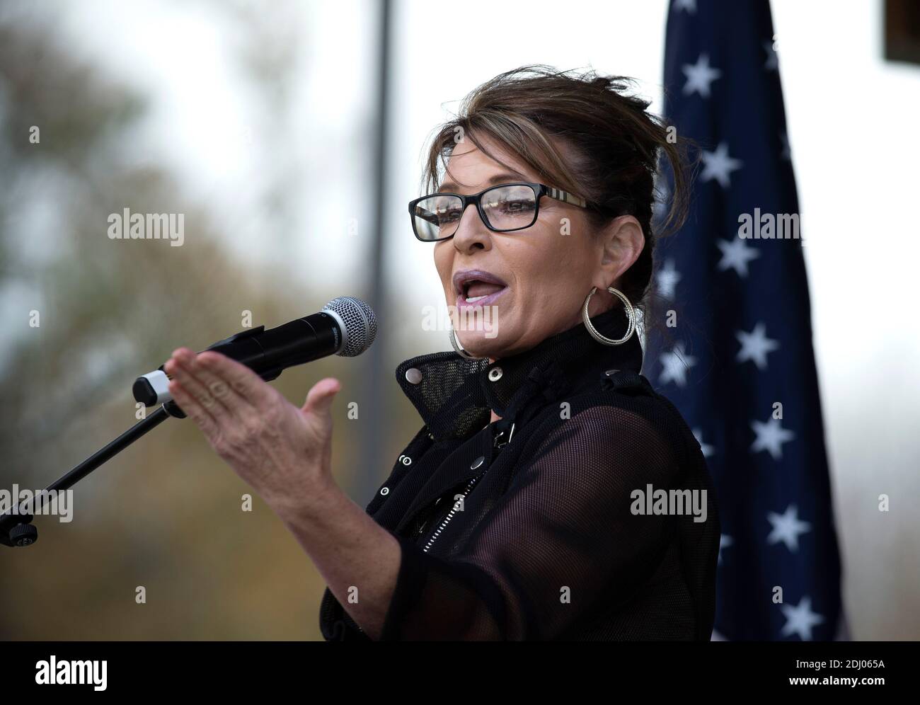 Sarah palin 2020 hi-res stock photography and images - Alamy