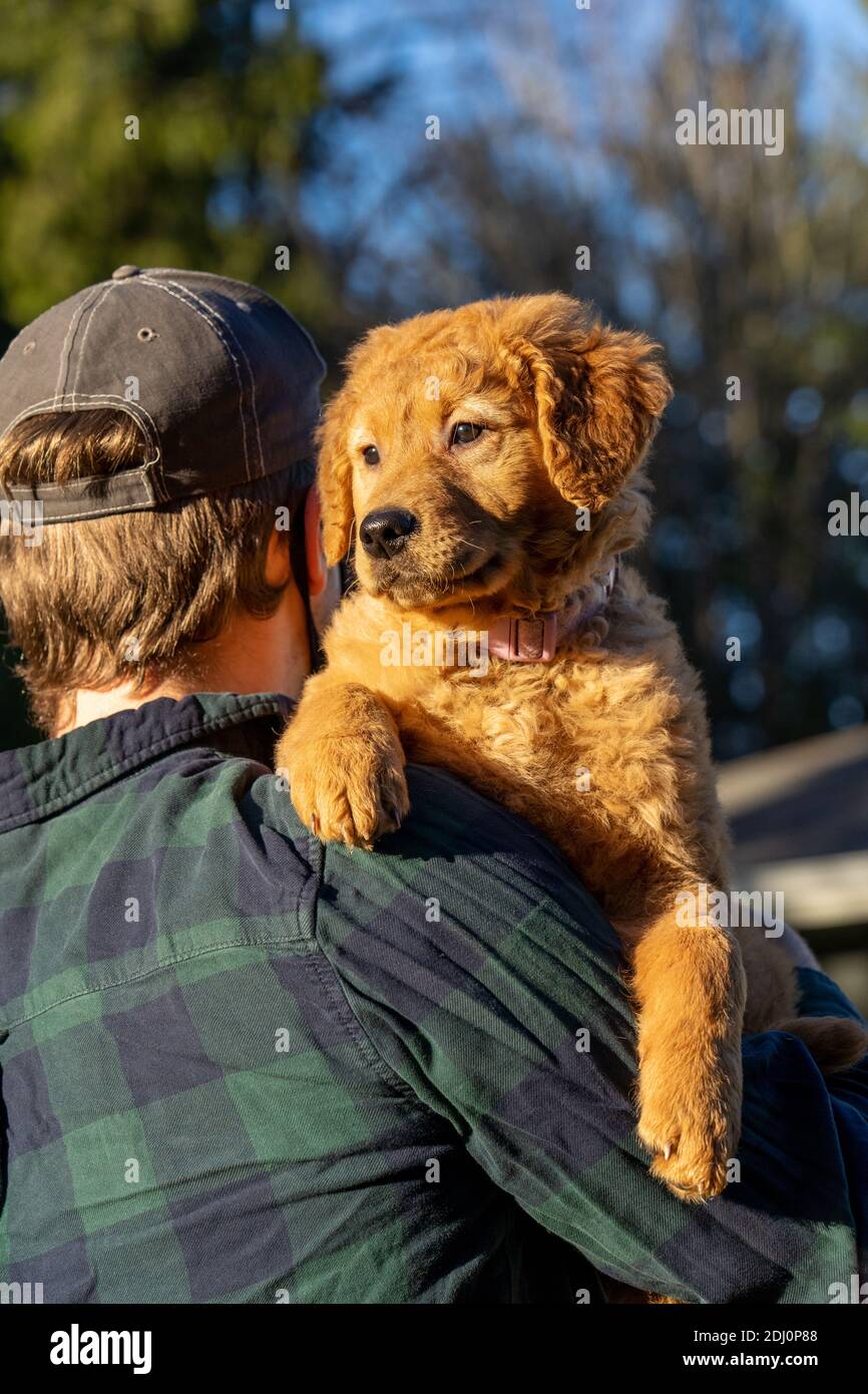 Person carrying dog hi-res stock photography and images - Alamy