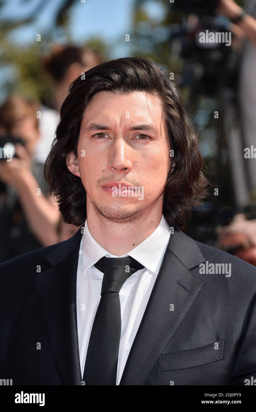 Adam Driver attending the Paterson screening at the Palais Des ...