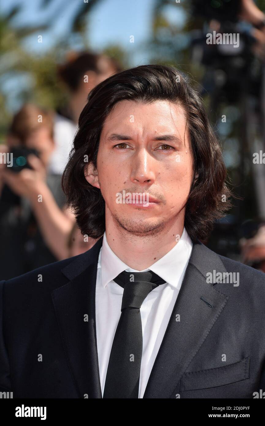 Adam Driver attending the Paterson screening at the Palais Des ...