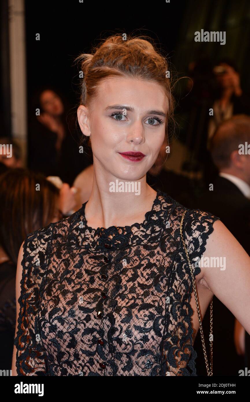 Gaia Weiss attending the Hands Of Stone photocall at the Palais Des ...