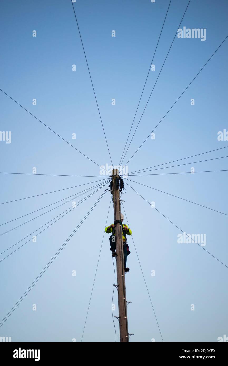 Telecommunications worker from Openreach climbs a wooden telegraph pole ...