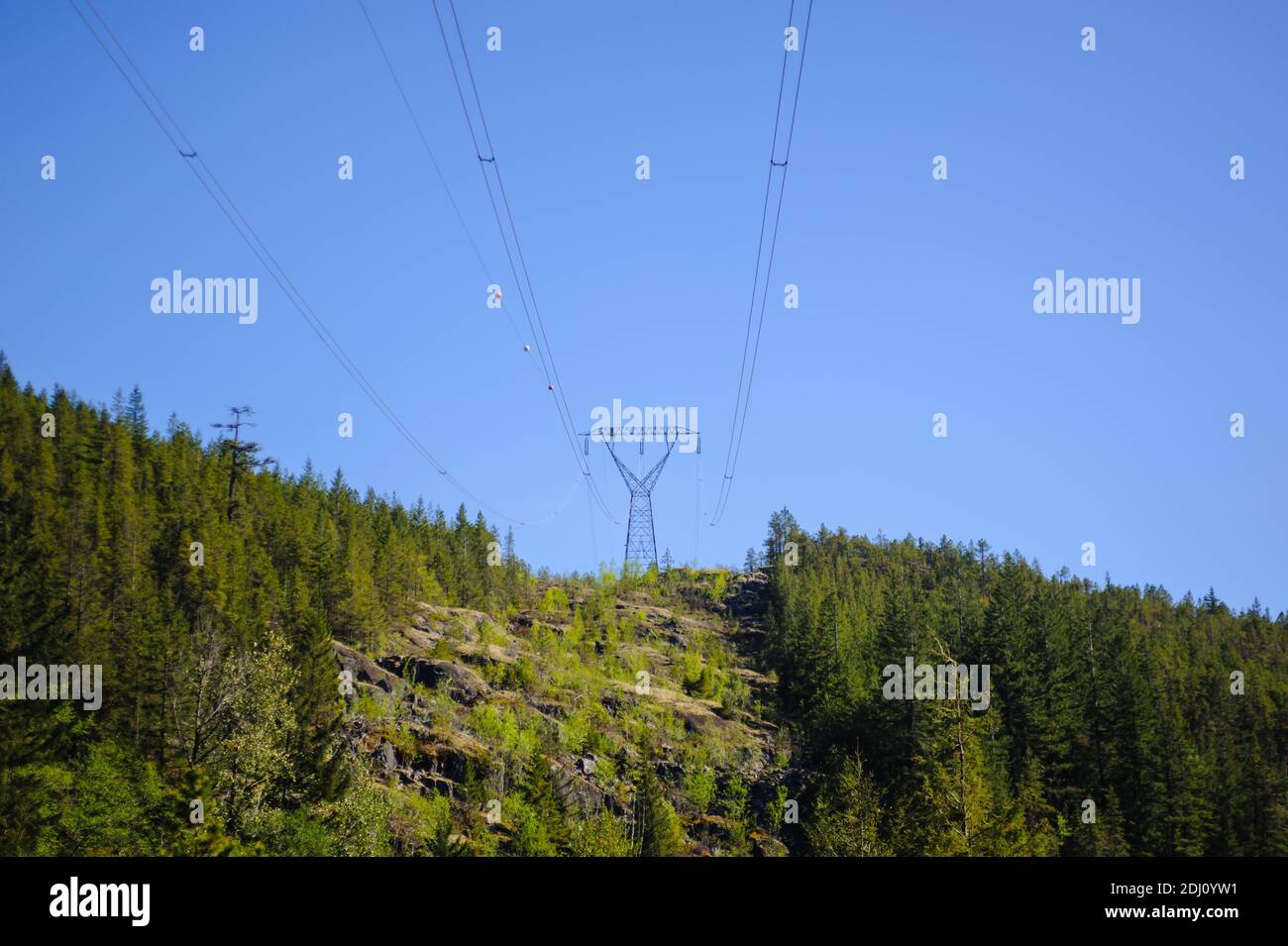 Power lines and tower passing through forest against clear blue sky in ...