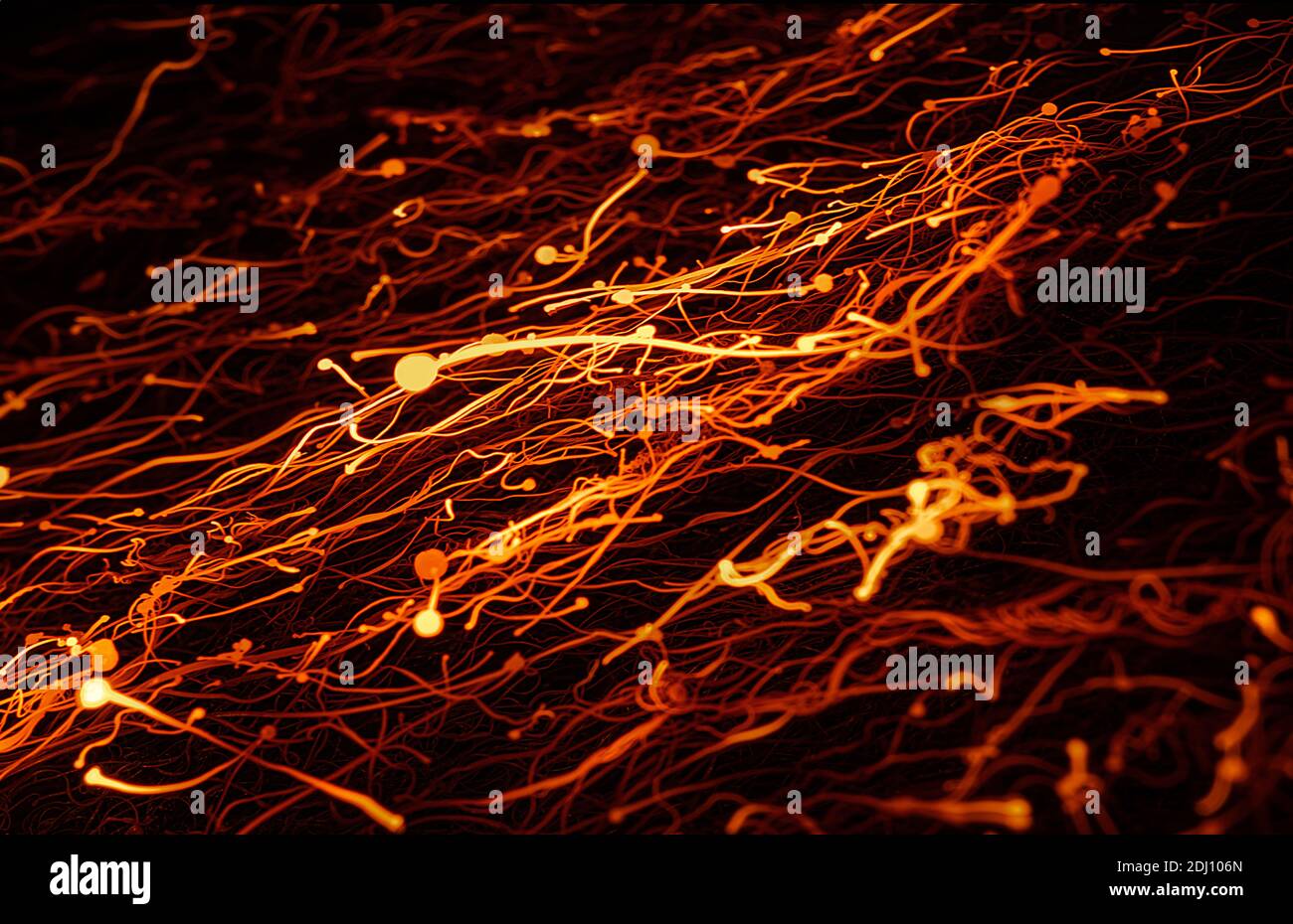 Abstract photograph of burning red and orange filaments on a black ...