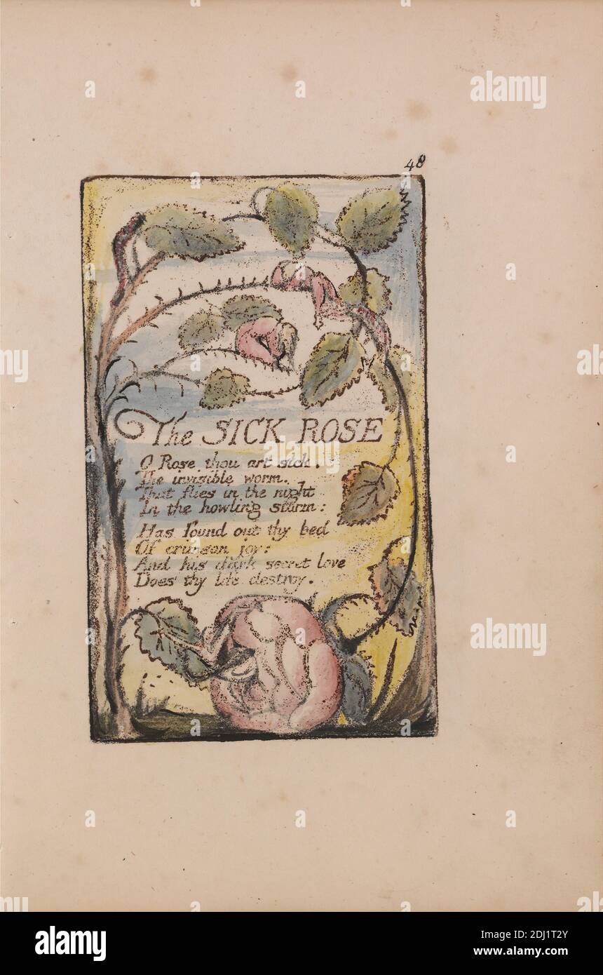 William blake the sick rose hi-res stock photography and images - Alamy