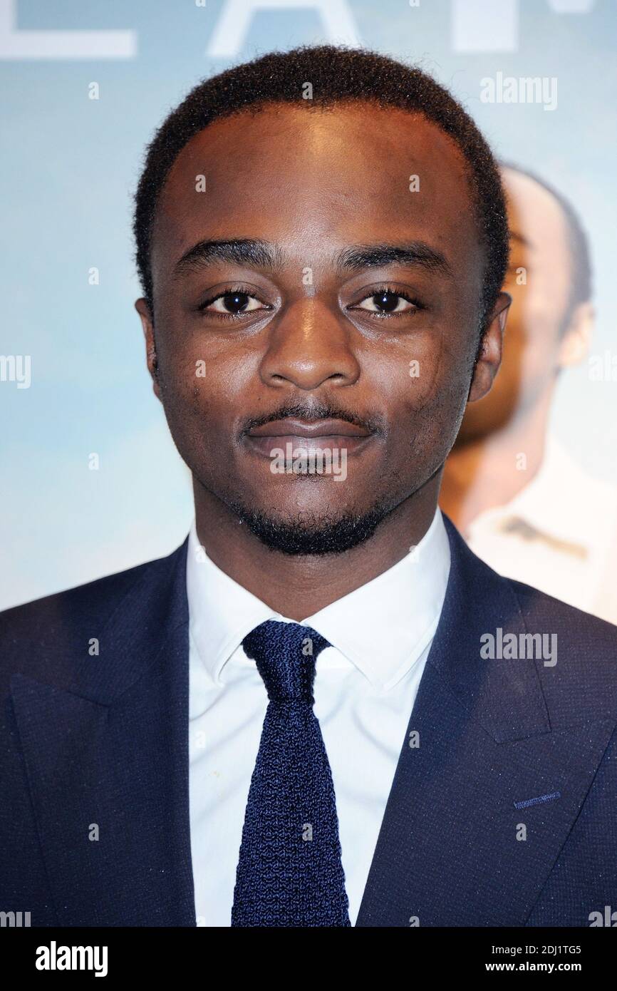 Marc Zinga assiste a l'avant-premiere du film 'Bienvenue a Marly ...