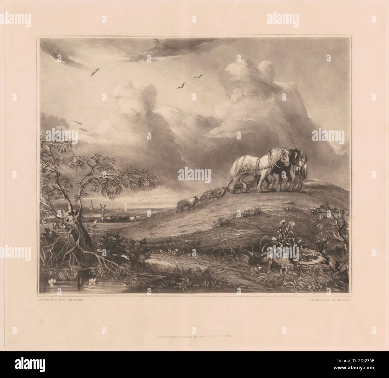 Syer trimmer hi-res stock photography and images - Alamy