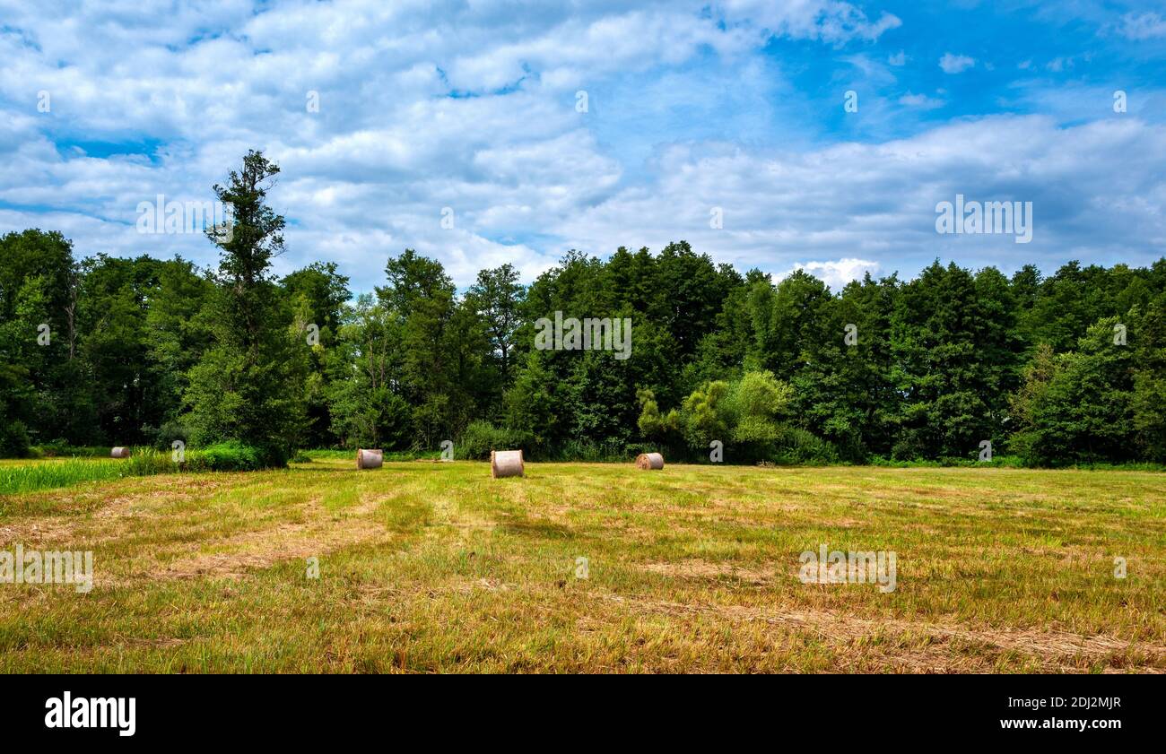 Agriculture In Germany Stock Photo - Alamy