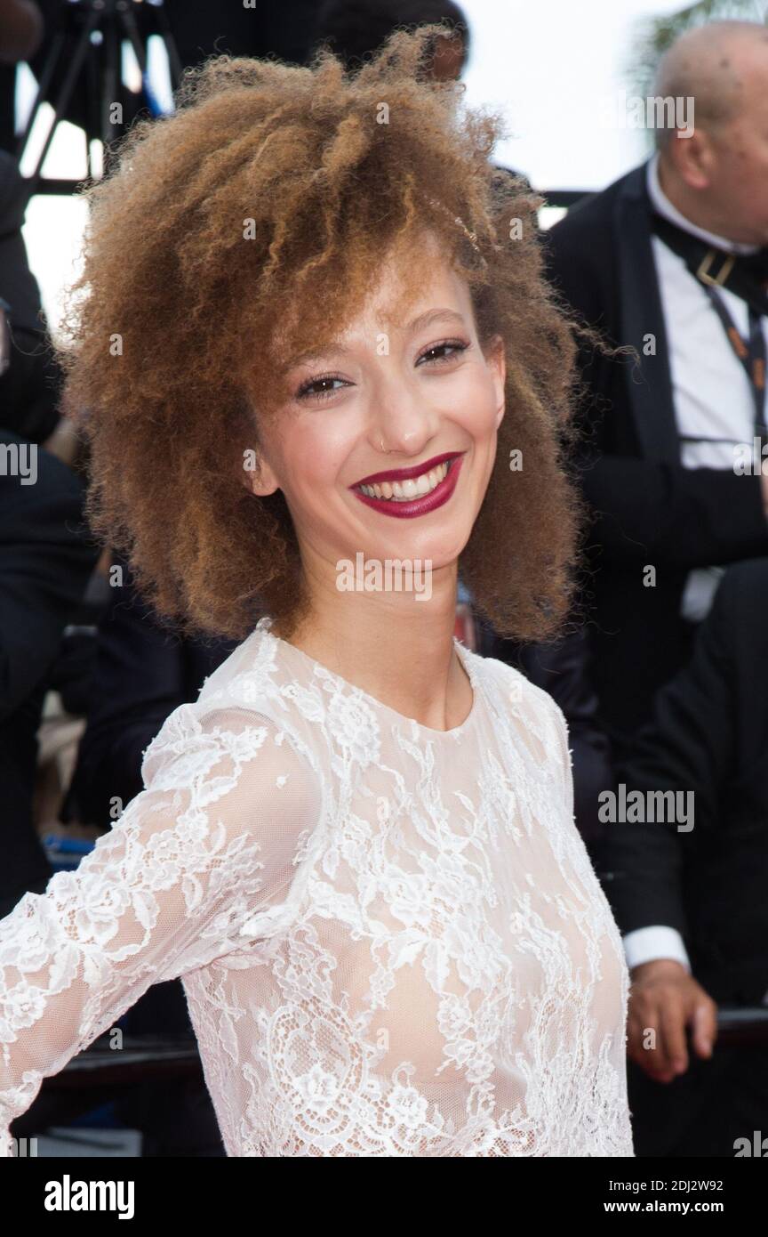 Mili eshet hi-res stock photography and images - Alamy