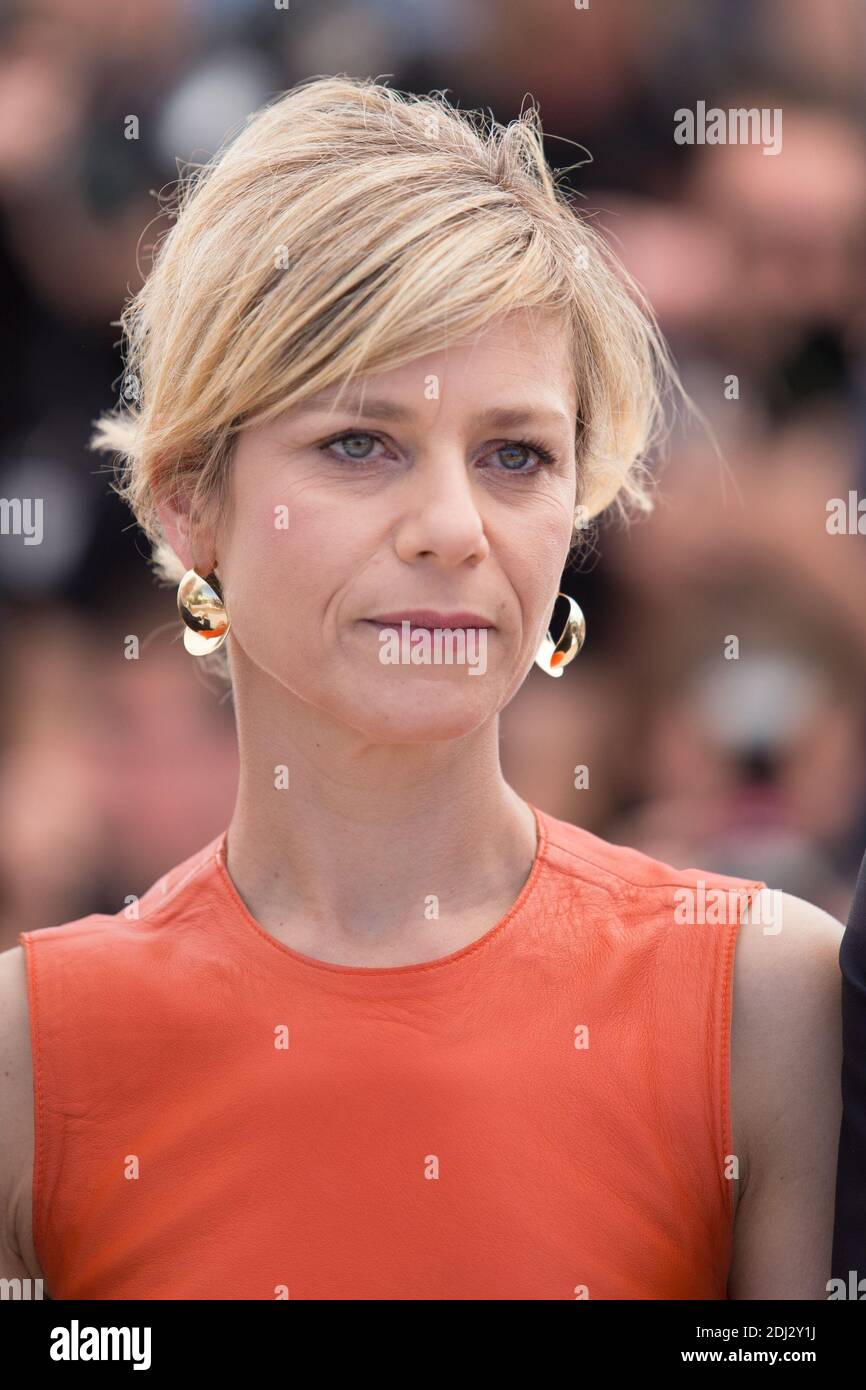Marina Fois 69ème Festival International du Film de Cannes. Photocall ...
