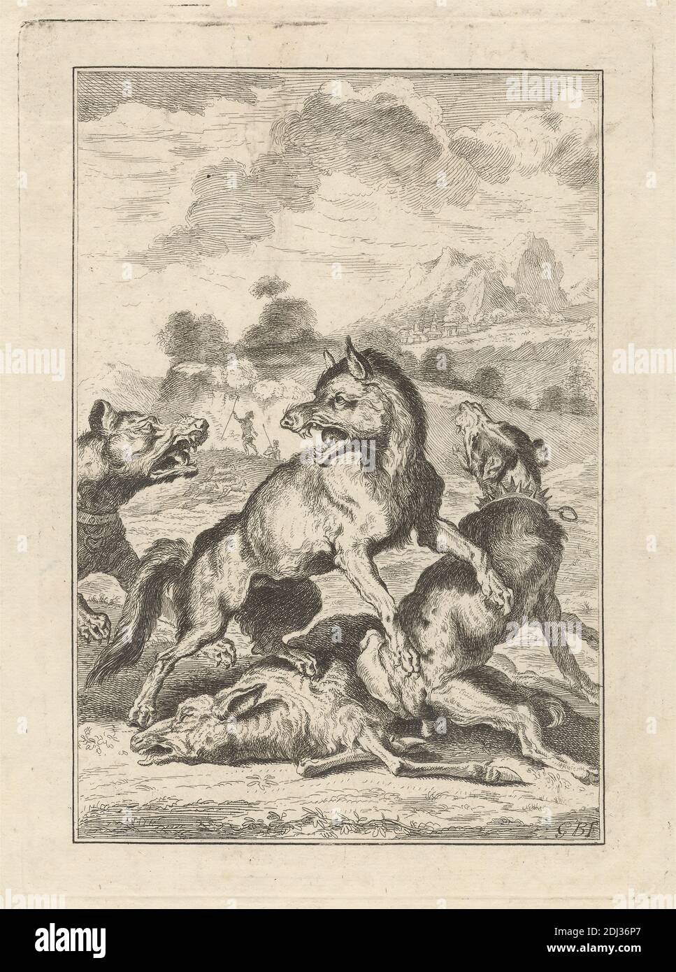 Two Wolves Fighting Drawing