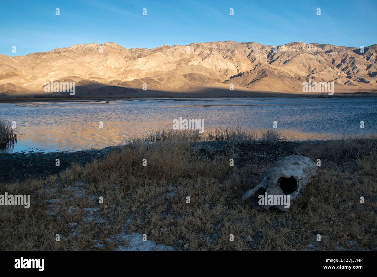 Southern inyo county hi-res stock photography and images - Alamy
