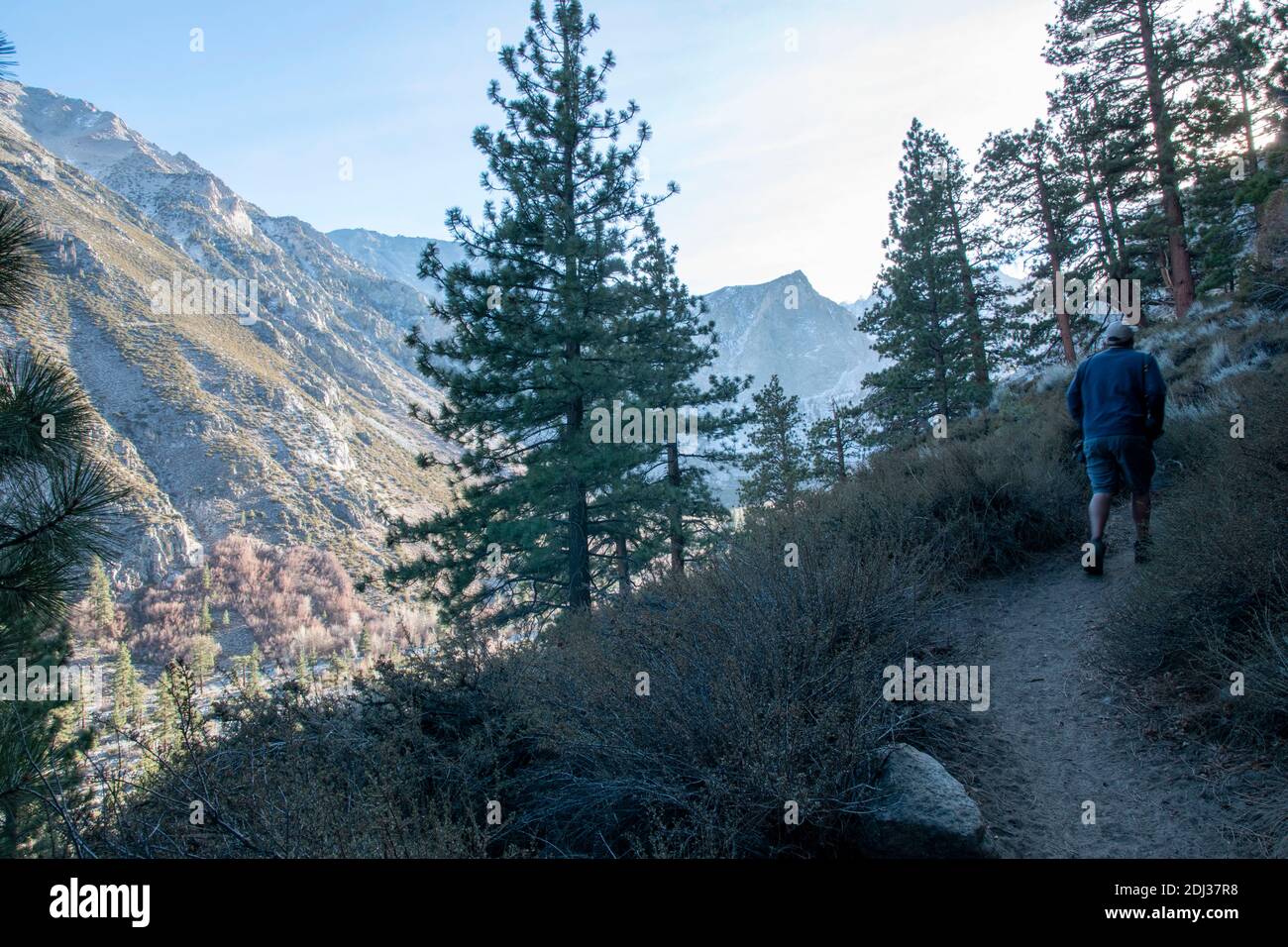A man goes on a hike near Big Pine Creek in the Eastern Sierra of Inyo ...