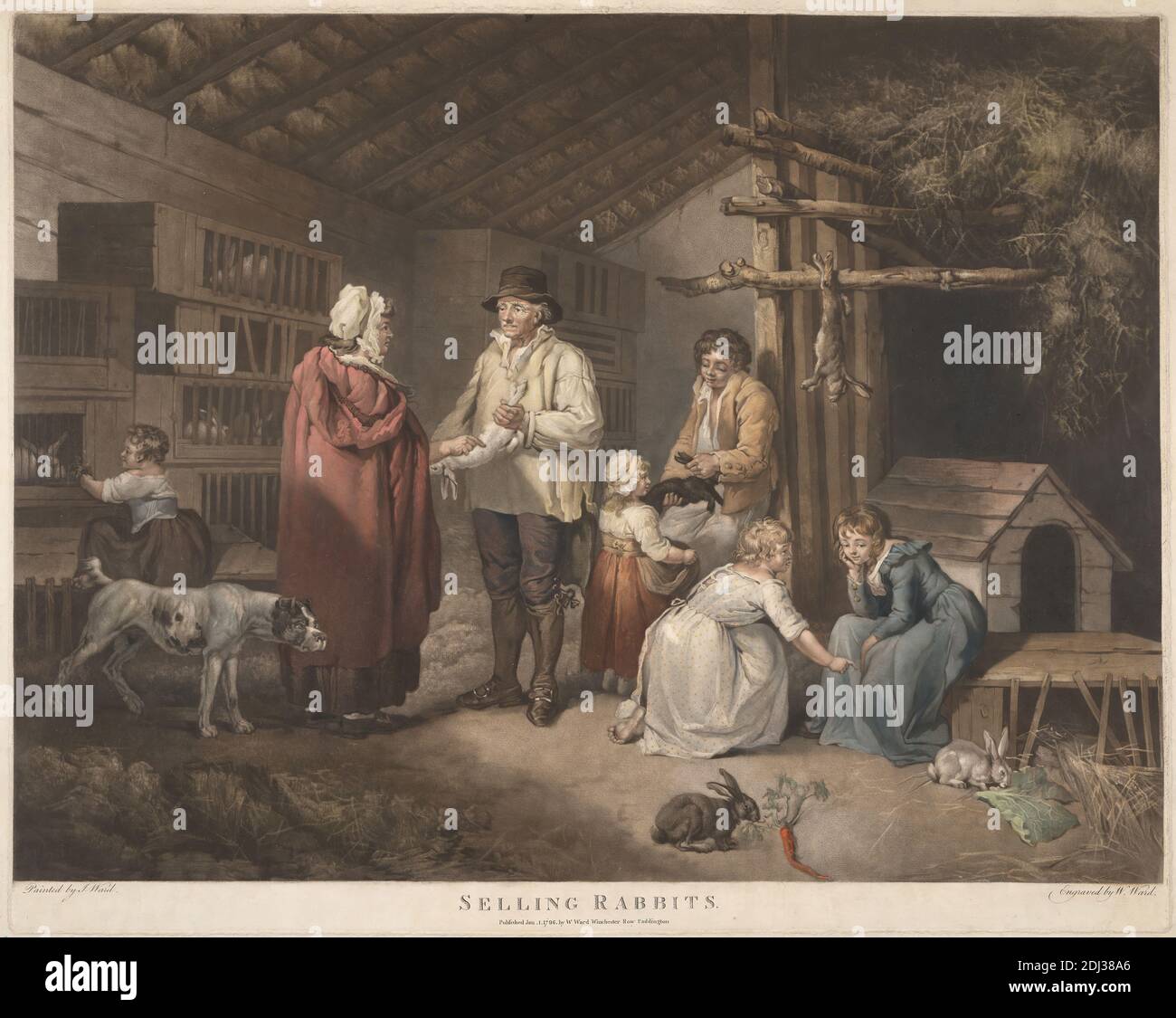 British rabbits hi-res stock photography and images - Alamy