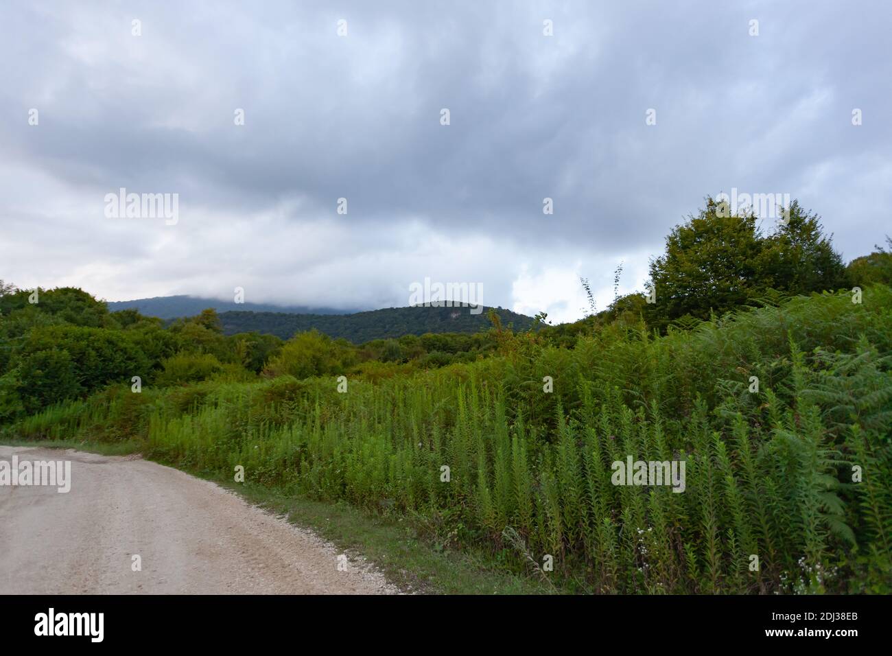 Dirt road tall grass hi-res stock photography and images - Alamy