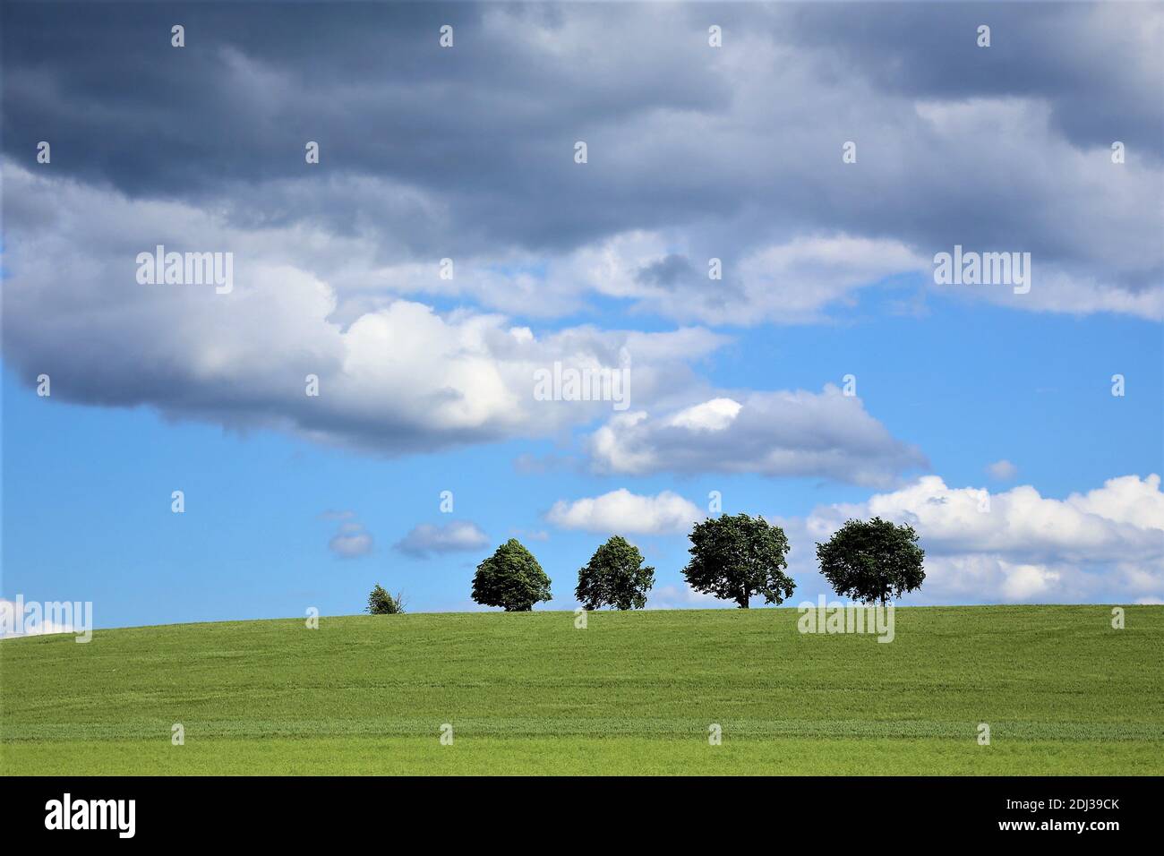 Beautiful landscape trees field hi-res stock photography and images - Alamy