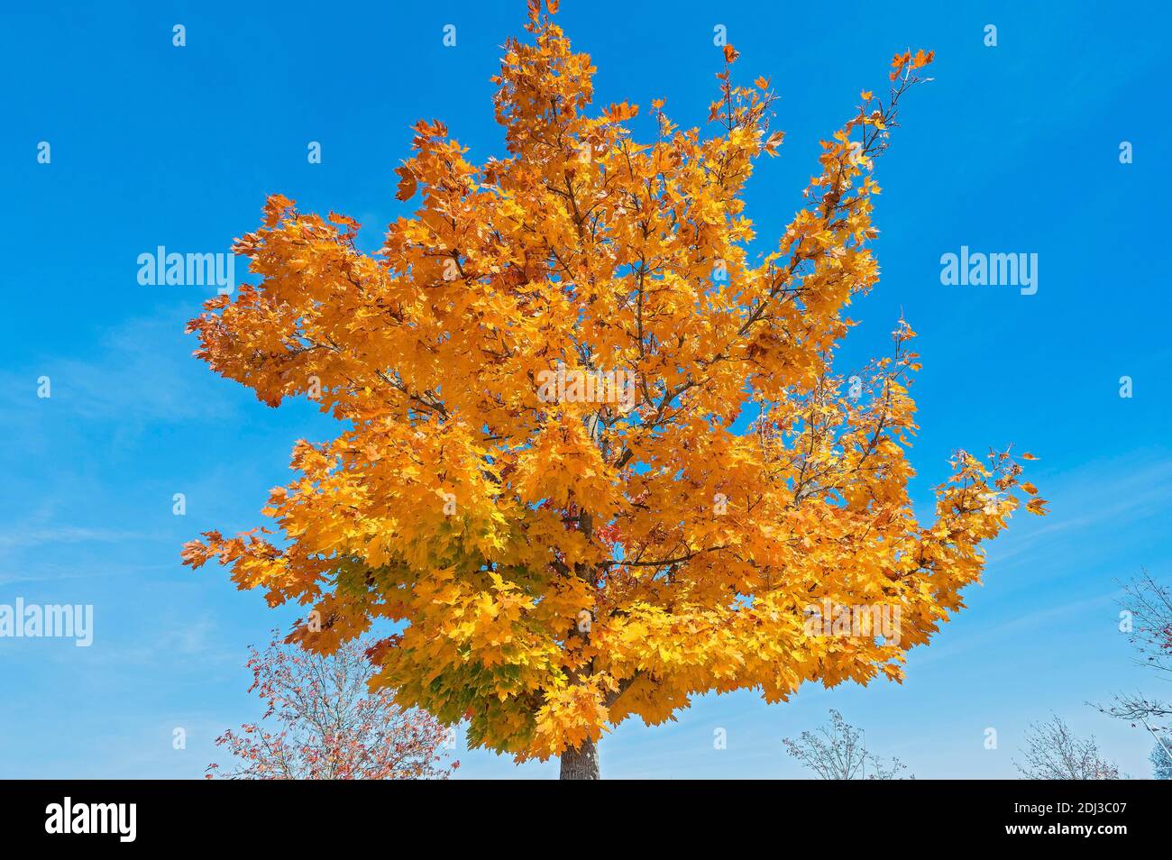 Garching bei muenchen hi-res stock photography and images - Alamy