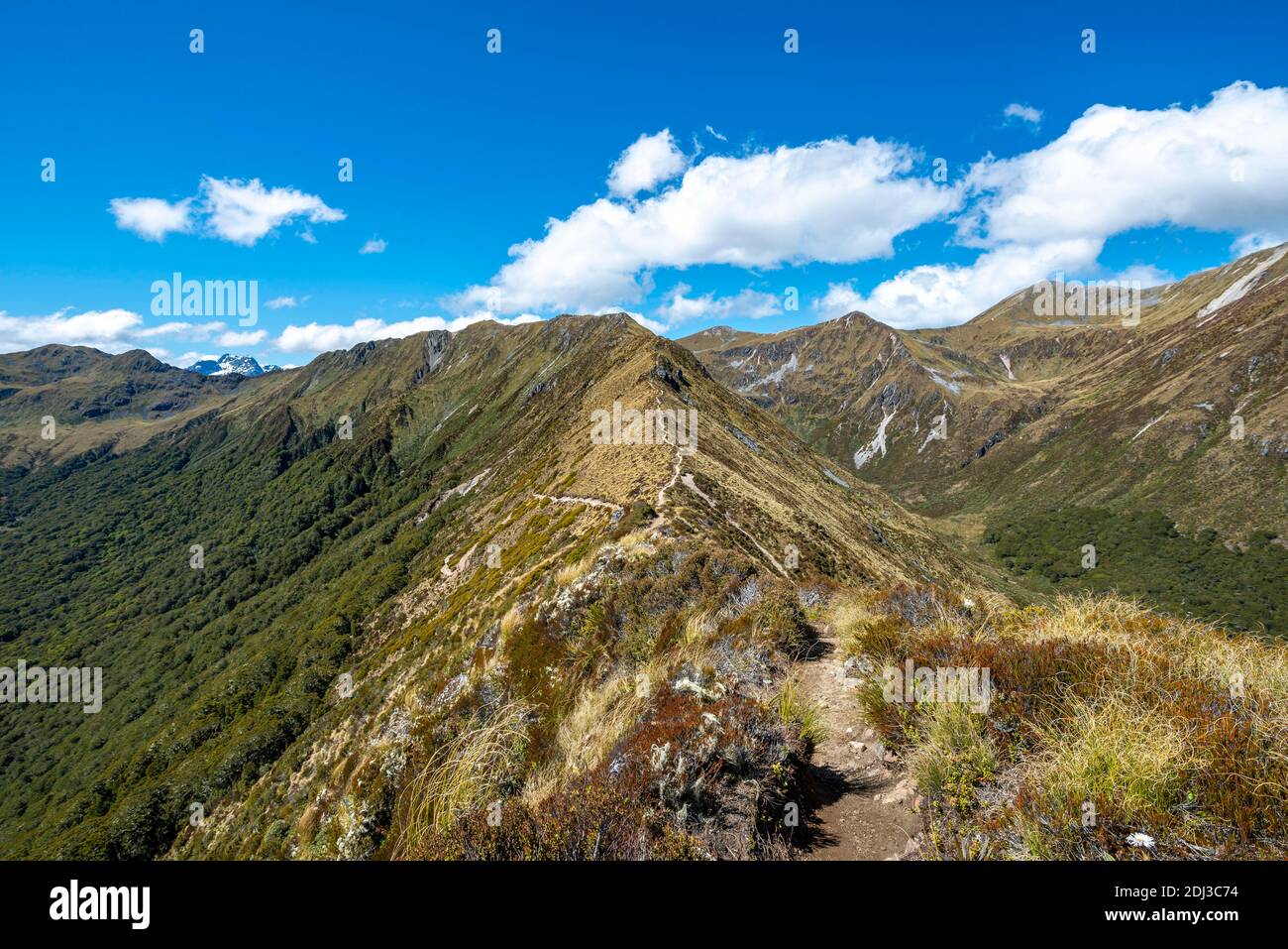 Kepler Track, Great Walk, mountain views Kepler Mountains and Southern ...