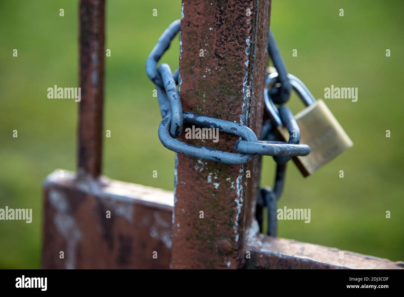 iron link chain with two locks lock a rusty iron gate, symbol for ...