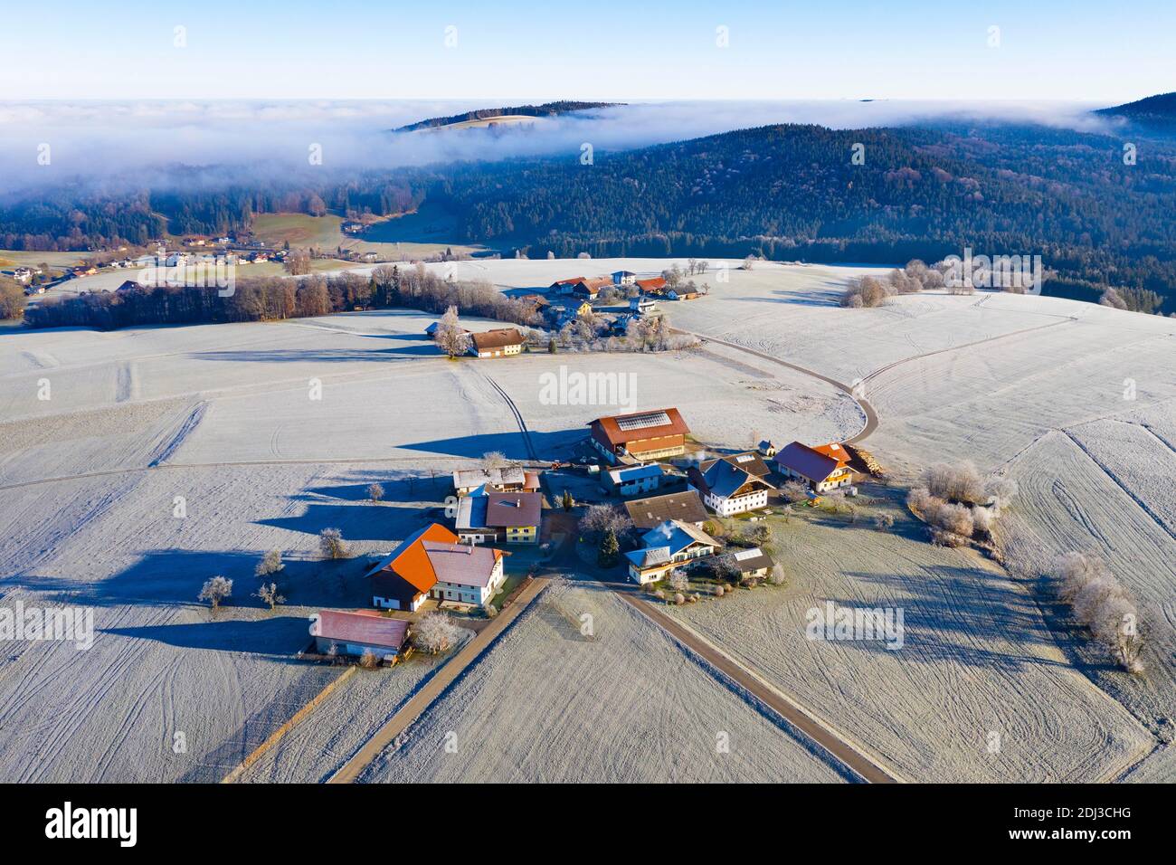 Farms in the middle of meadows covered with hoar frost, agricultural ...