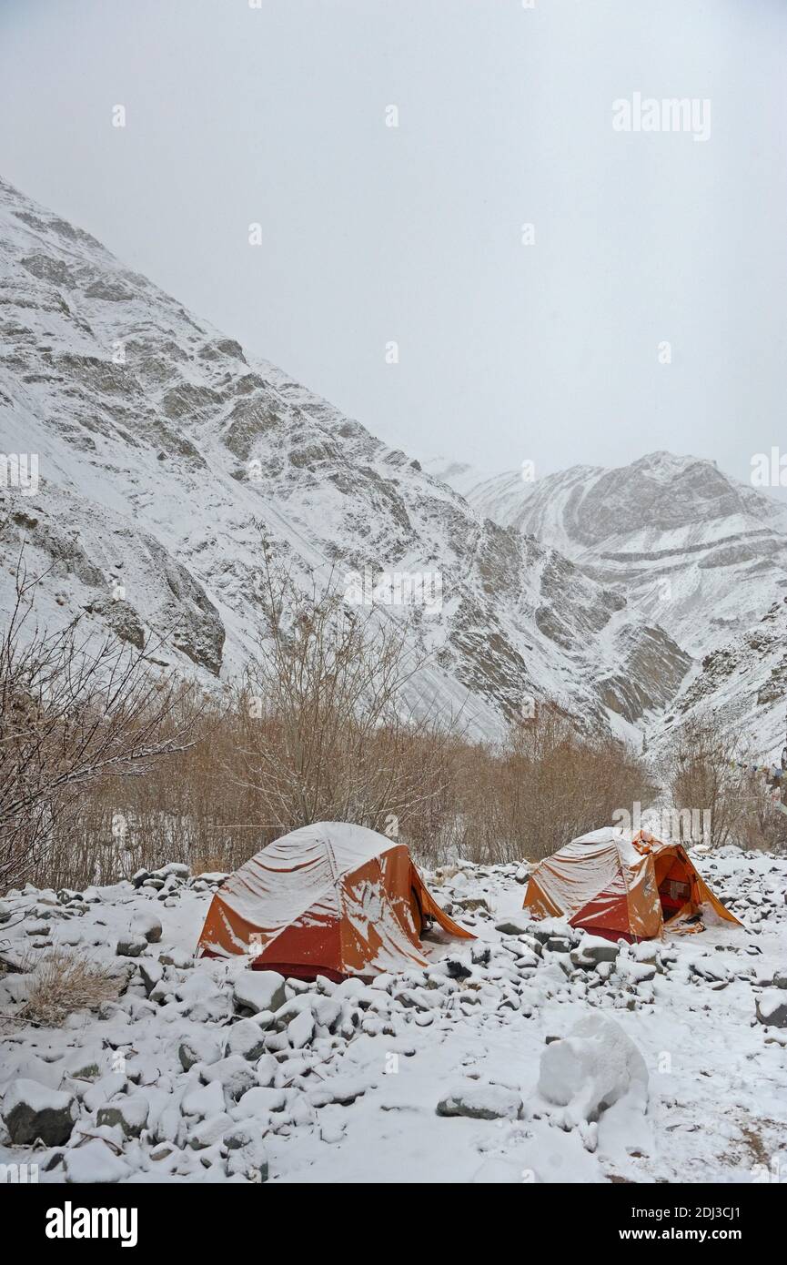 High altitude trekking camp in Hemis national park, Ladakh, India Stock ...