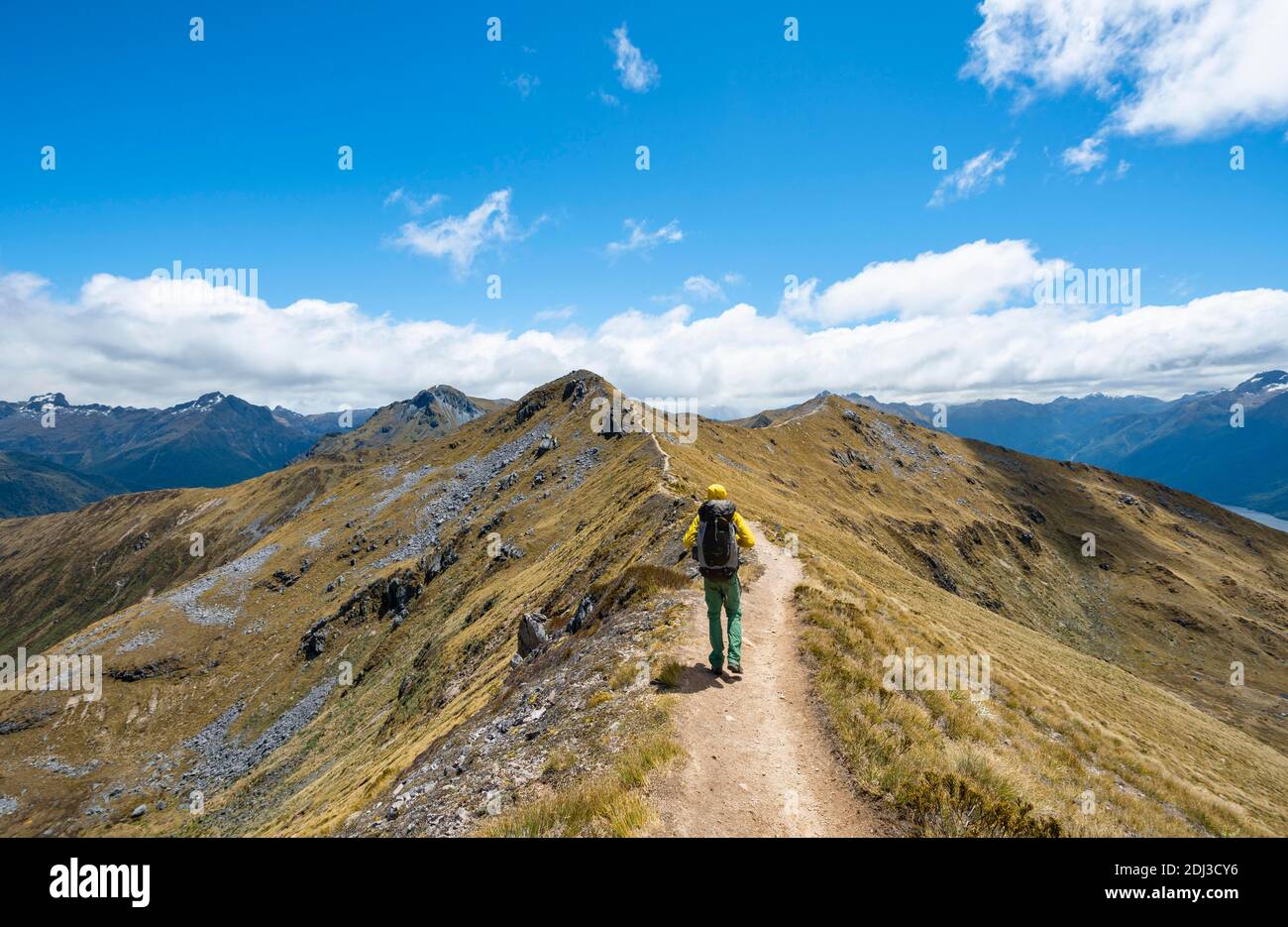 Hiker on Kepler Track, Great Walk, view of Kepler Mountains, Fiordland ...