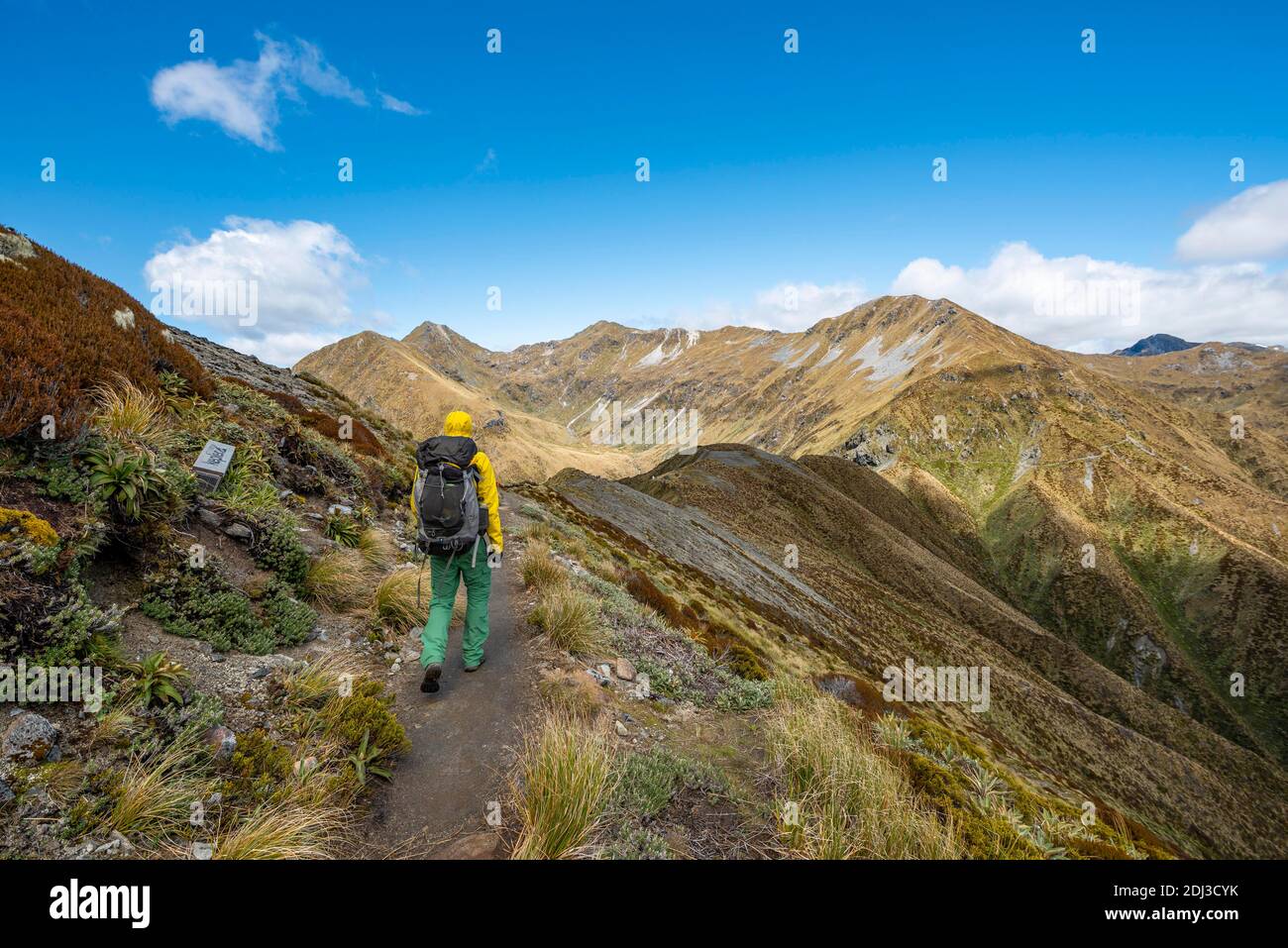 Hiker on Kepler Track, Great Walk, view of Kepler Mountains, Fiordland ...
