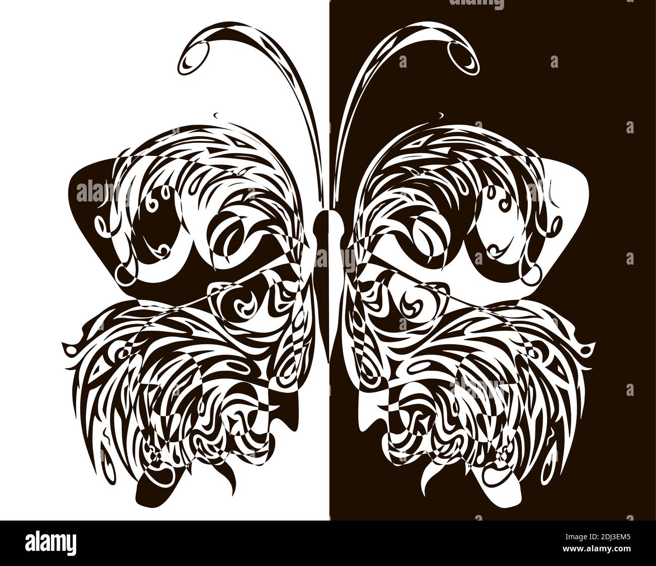 Butterfly made from curves silhouettes, isolated black on white half ...