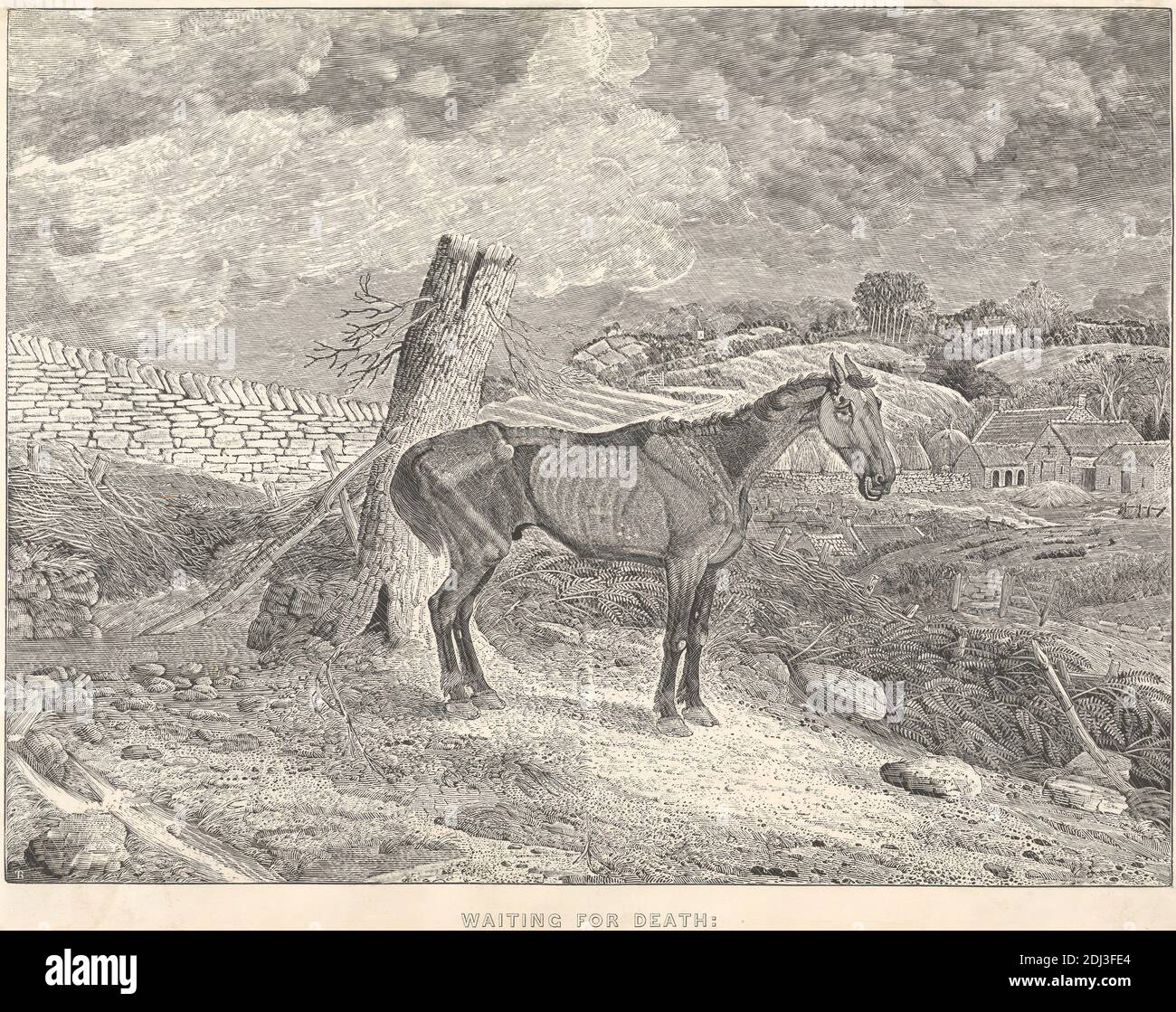 Waiting for death hi-res stock photography and images - Alamy