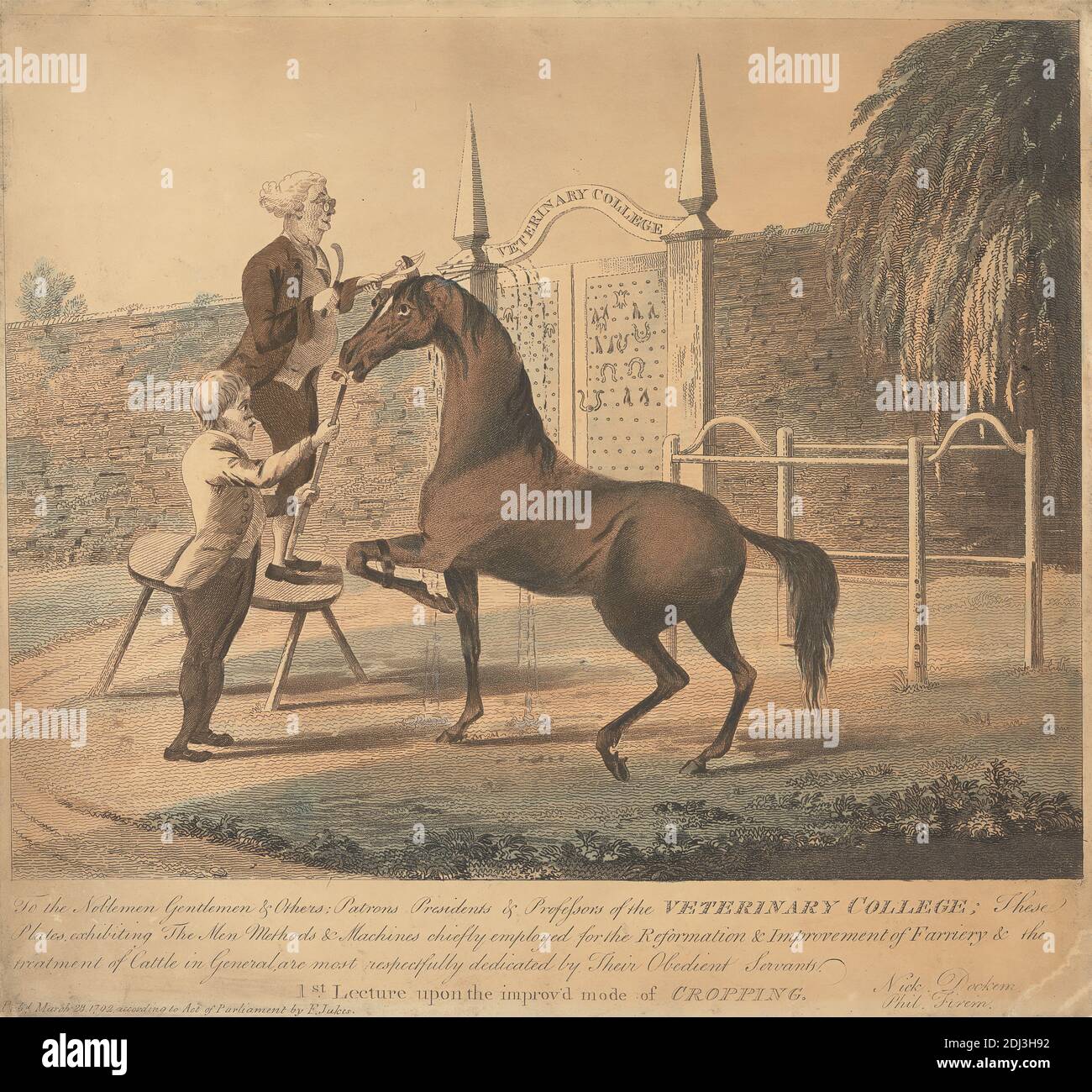 Cattle in general hi-res stock photography and images - Alamy