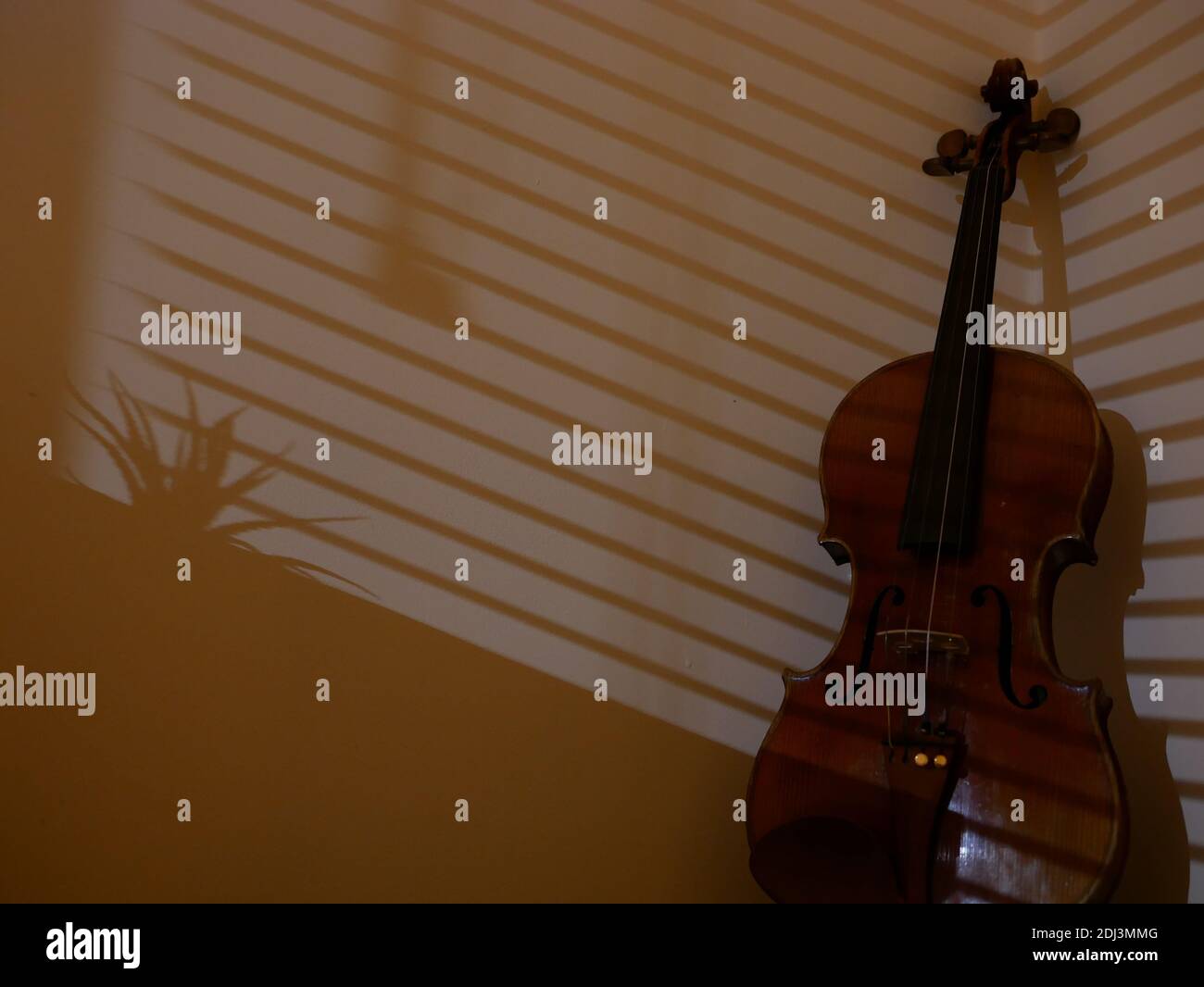 Violin with window blinds shadows effect Stock Photo - Alamy