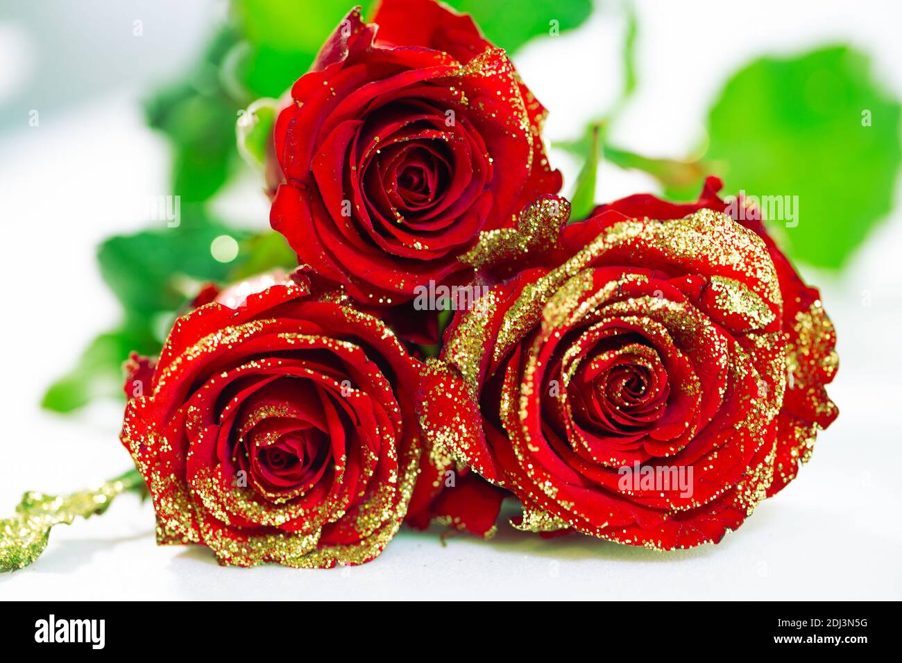 Red roses in the snow hi-res stock photography and images - Alamy