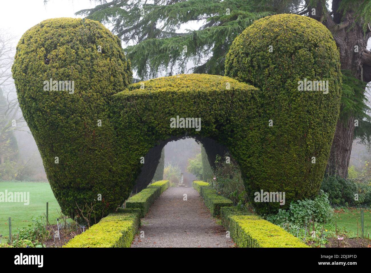 Yew topiary hi-res stock photography and images - Alamy
