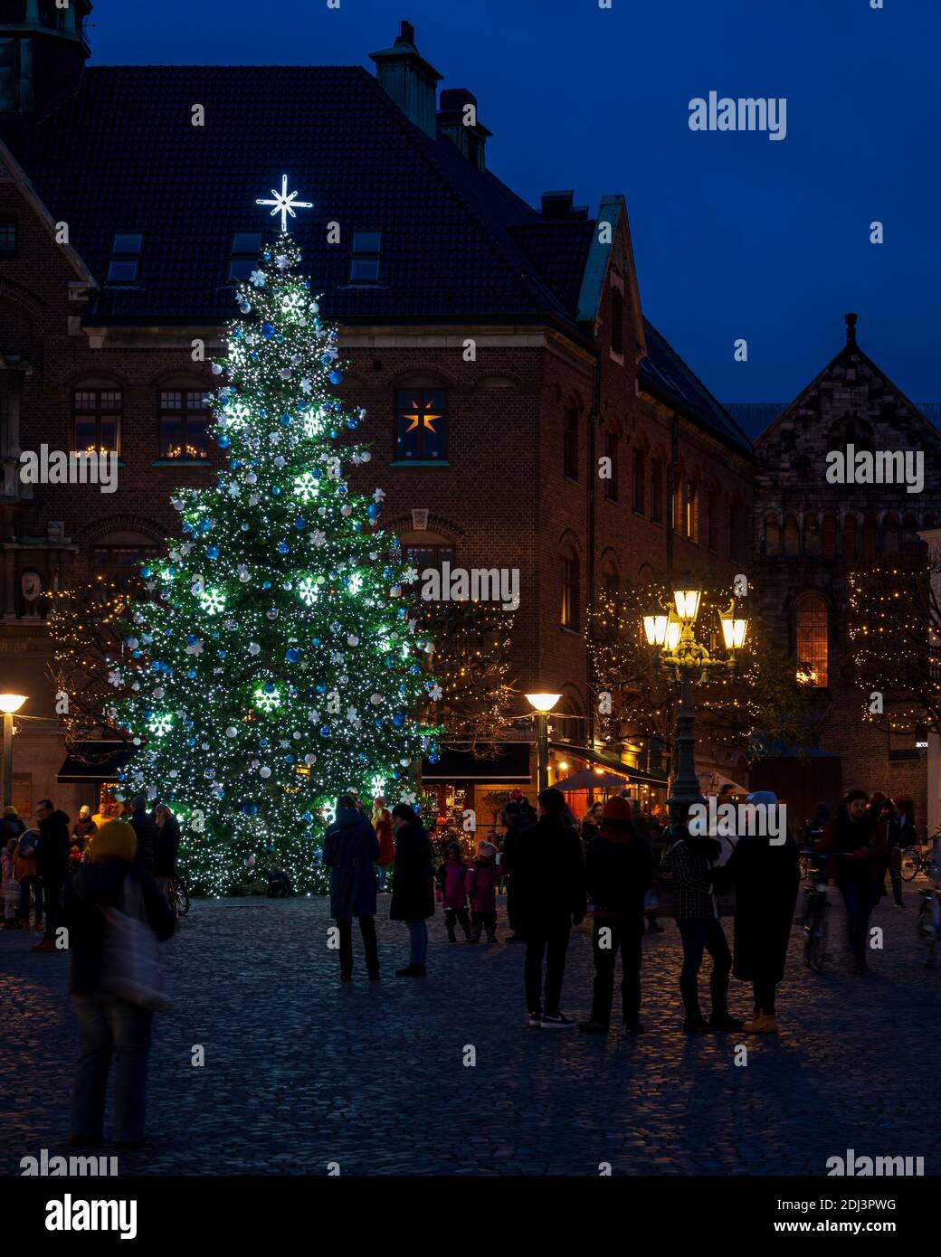 Swedish Winter Christmas