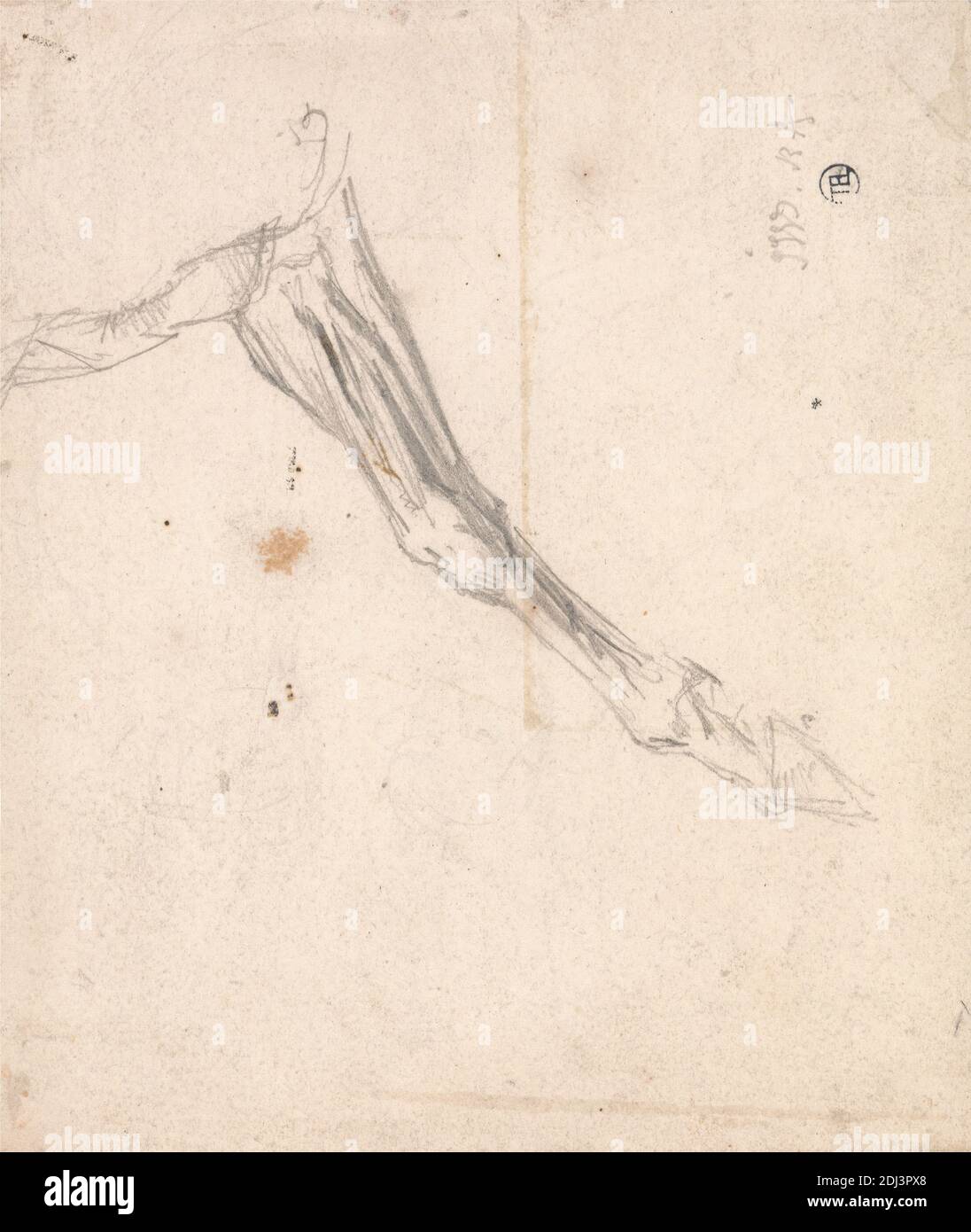 Horses foreleg hi-res stock photography and images - Alamy