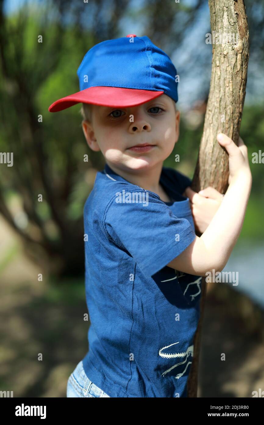 Boy climbing a tree in the park Stock Photo - Alamy