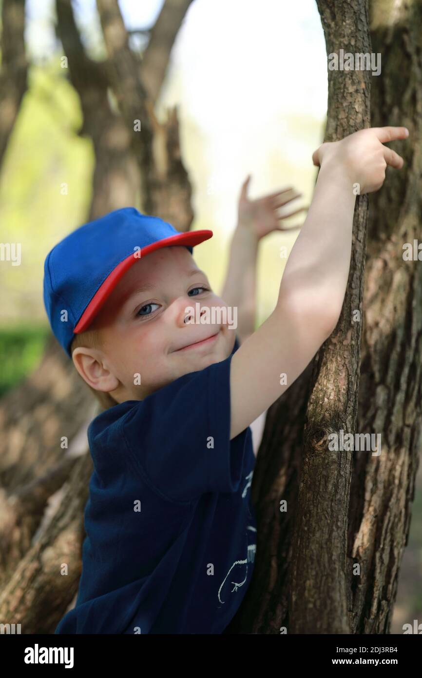 Child climb tree portrait nature hi-res stock photography and images ...