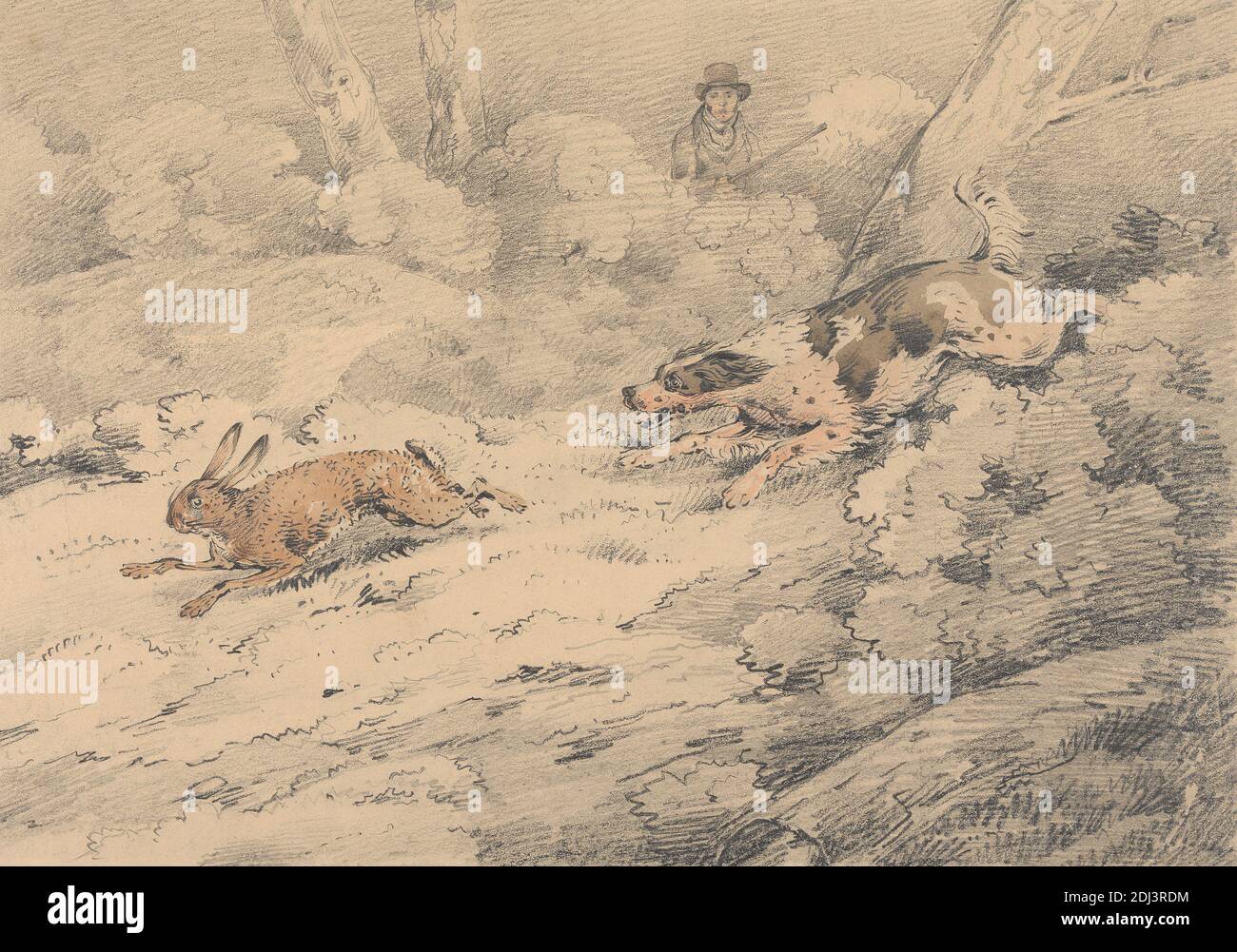 Chasing the hare hi-res stock photography and images - Alamy