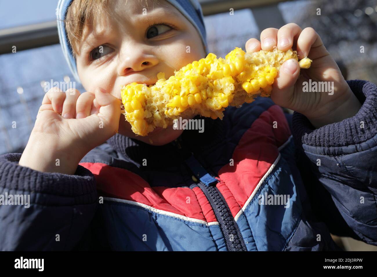 Kid eating corn in hi-res stock photography and images - Alamy