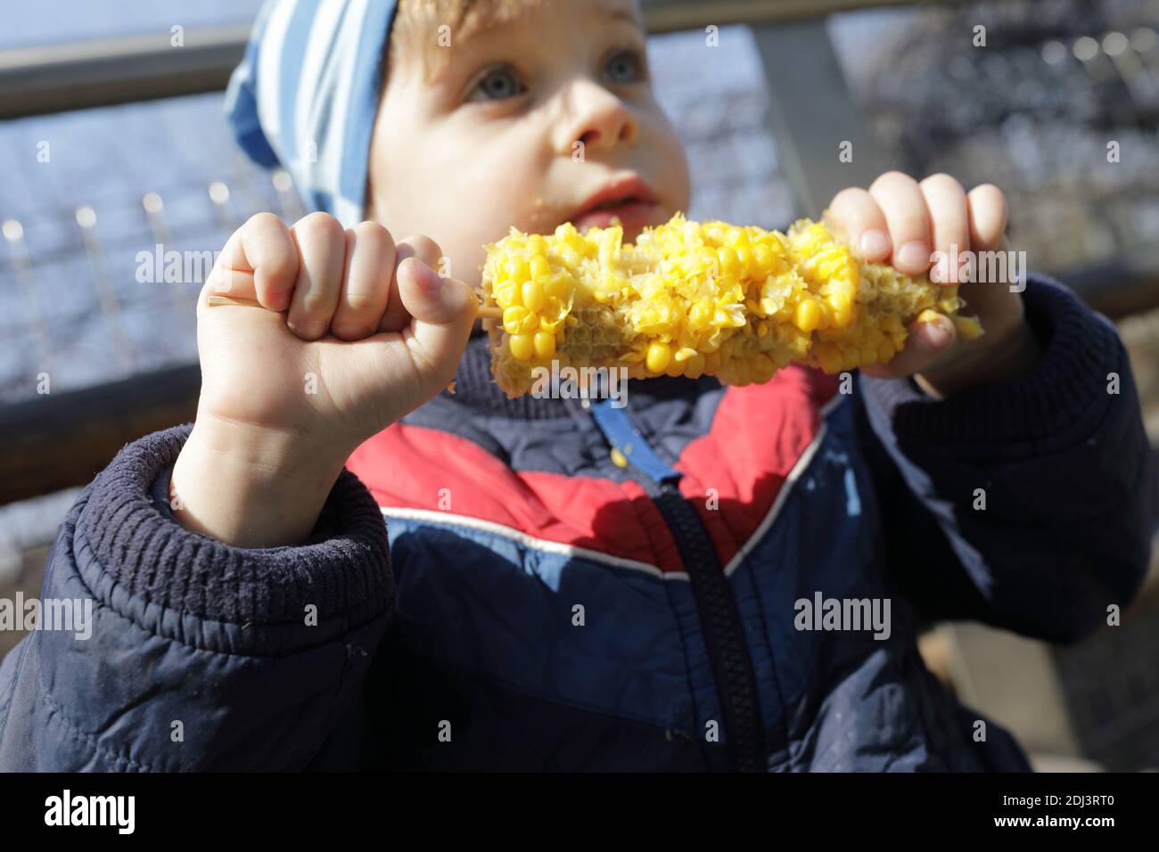 Kid eating corn in hi-res stock photography and images - Alamy