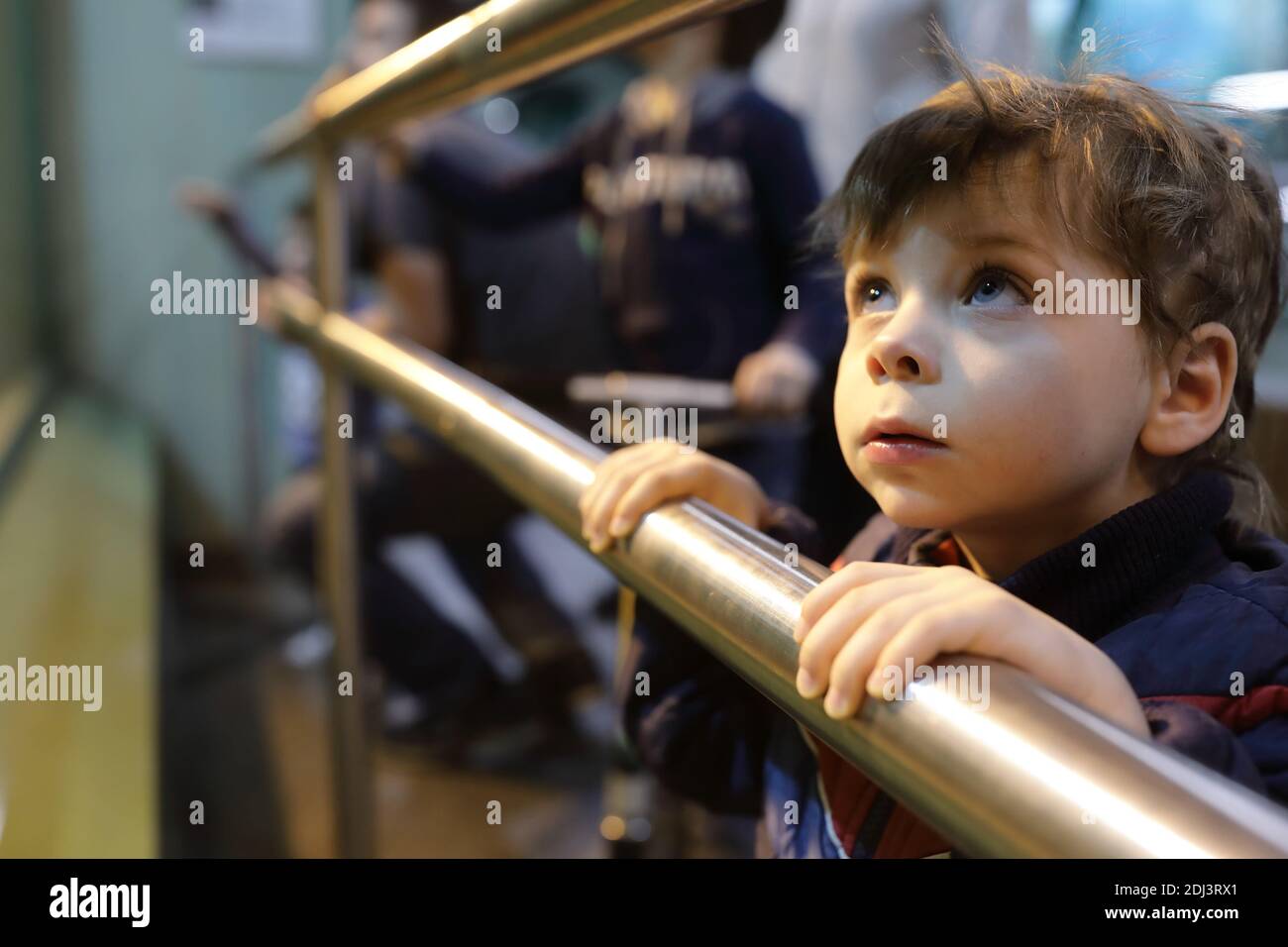 Portrait of a boy in the zoo Stock Photo - Alamy