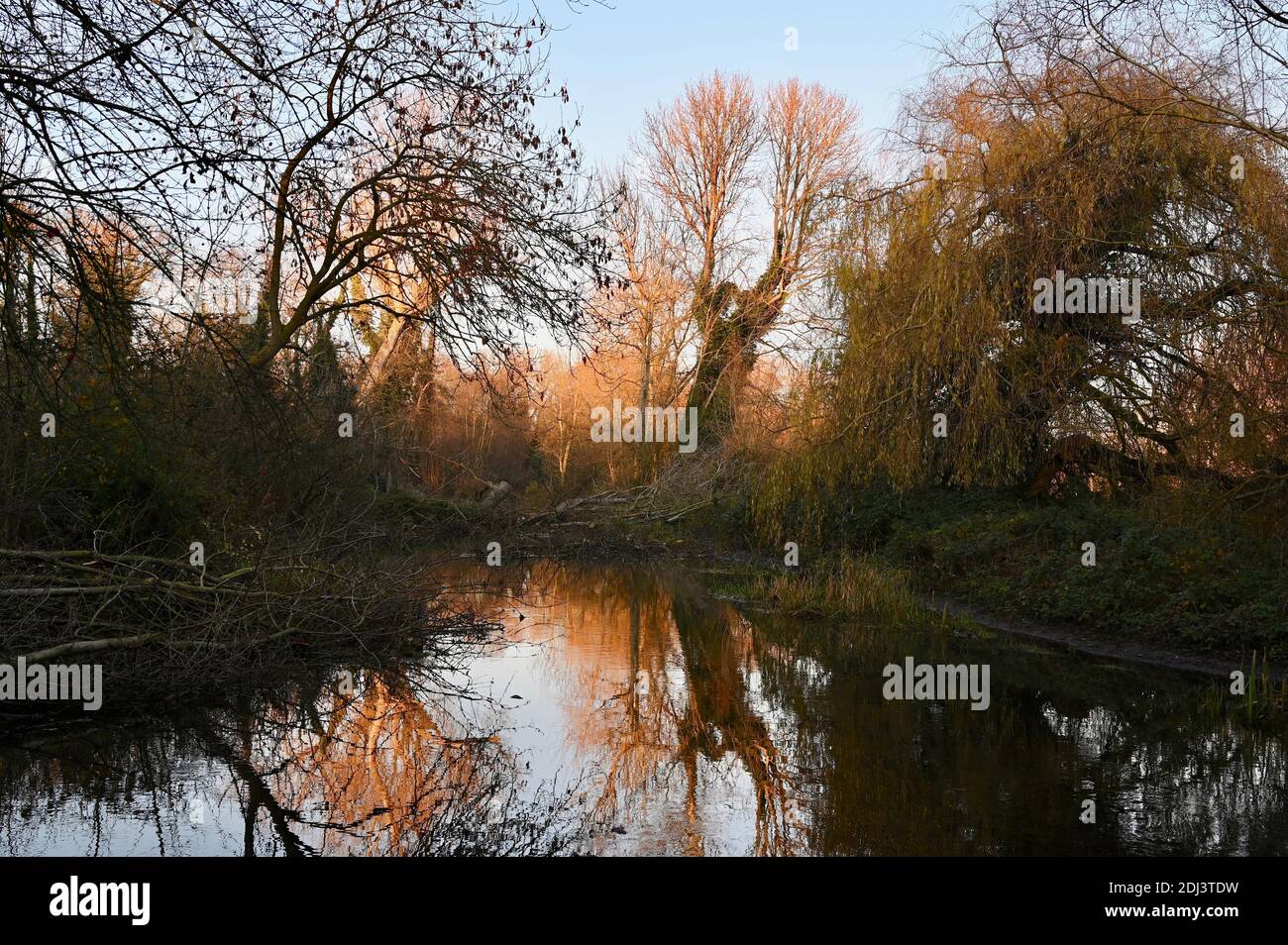 The river cray hi-res stock photography and images - Alamy