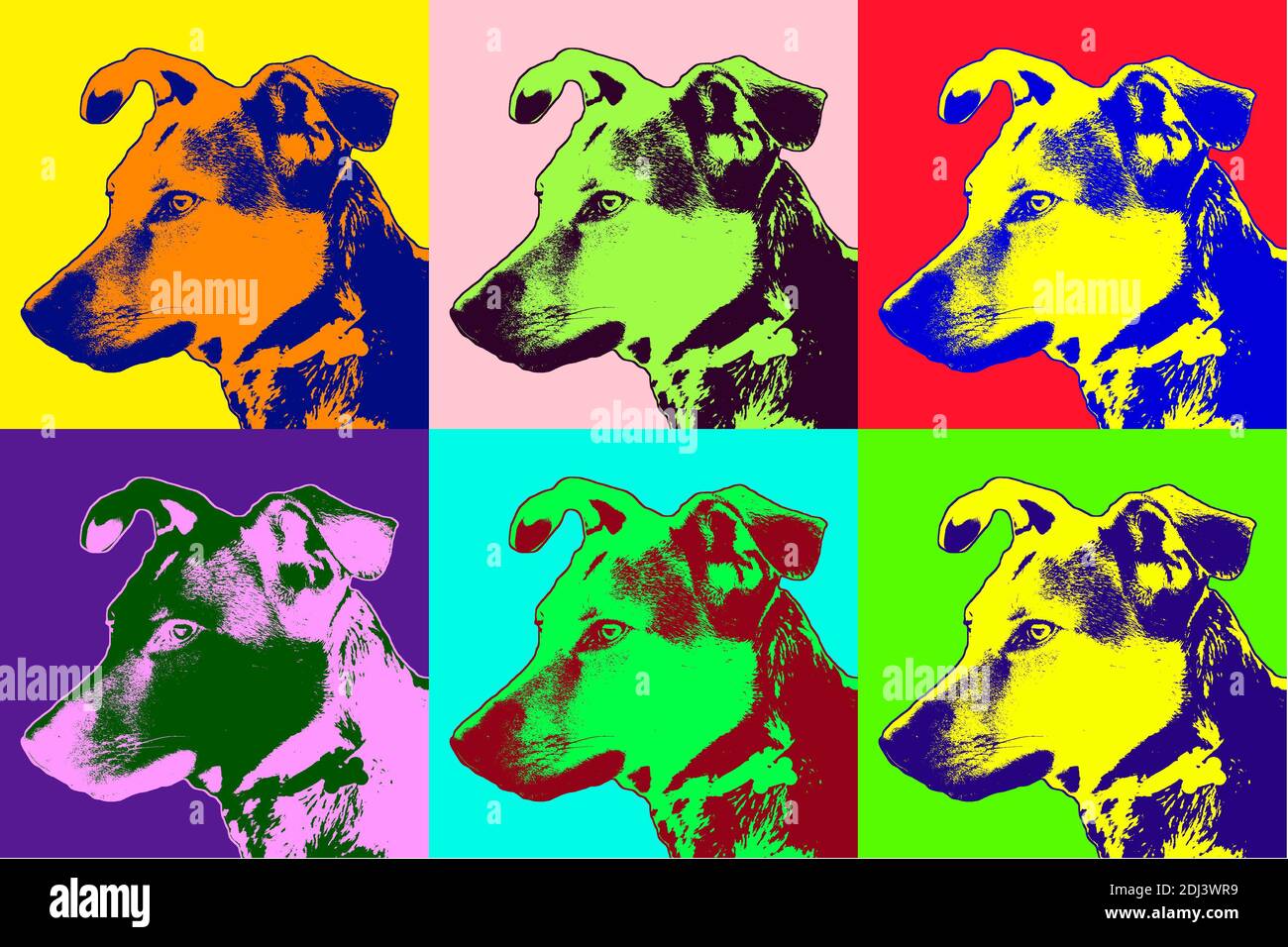 colorful pop art style dog image Stock Photo - Alamy